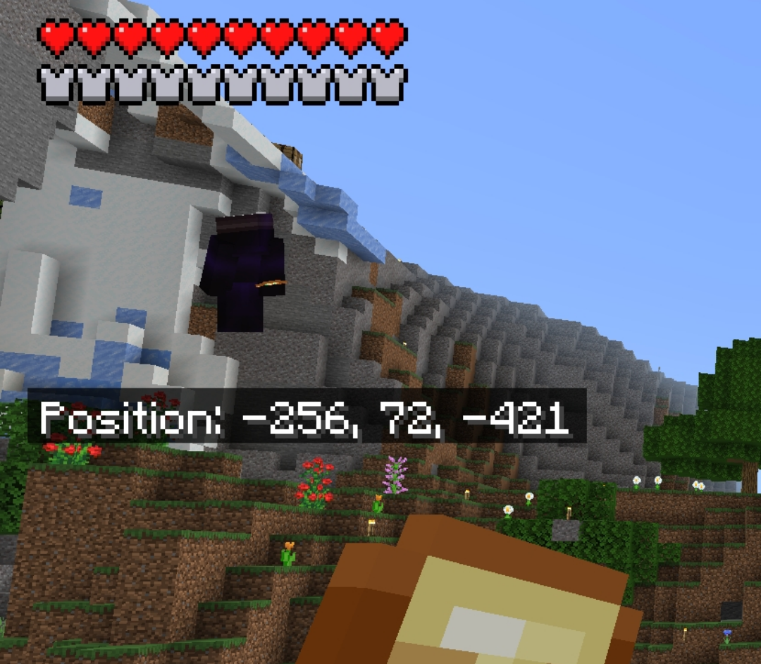 Texture glitch? | Scrolller