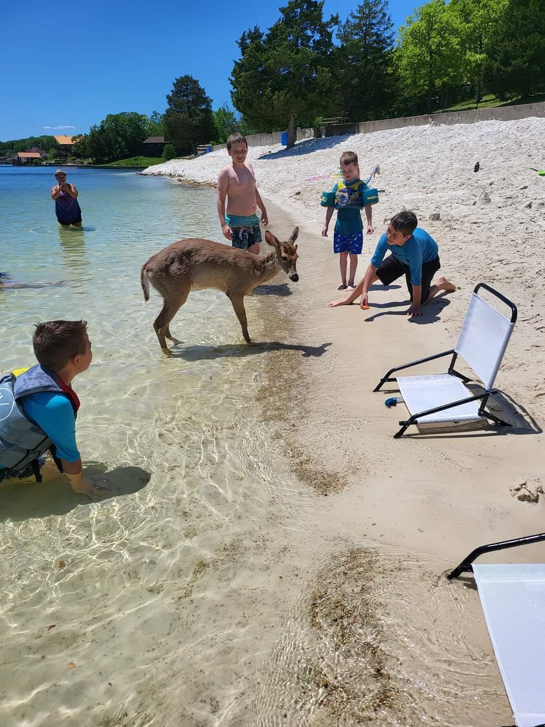 [OC] we had an unexpected visitor at the beach today! | Scrolller