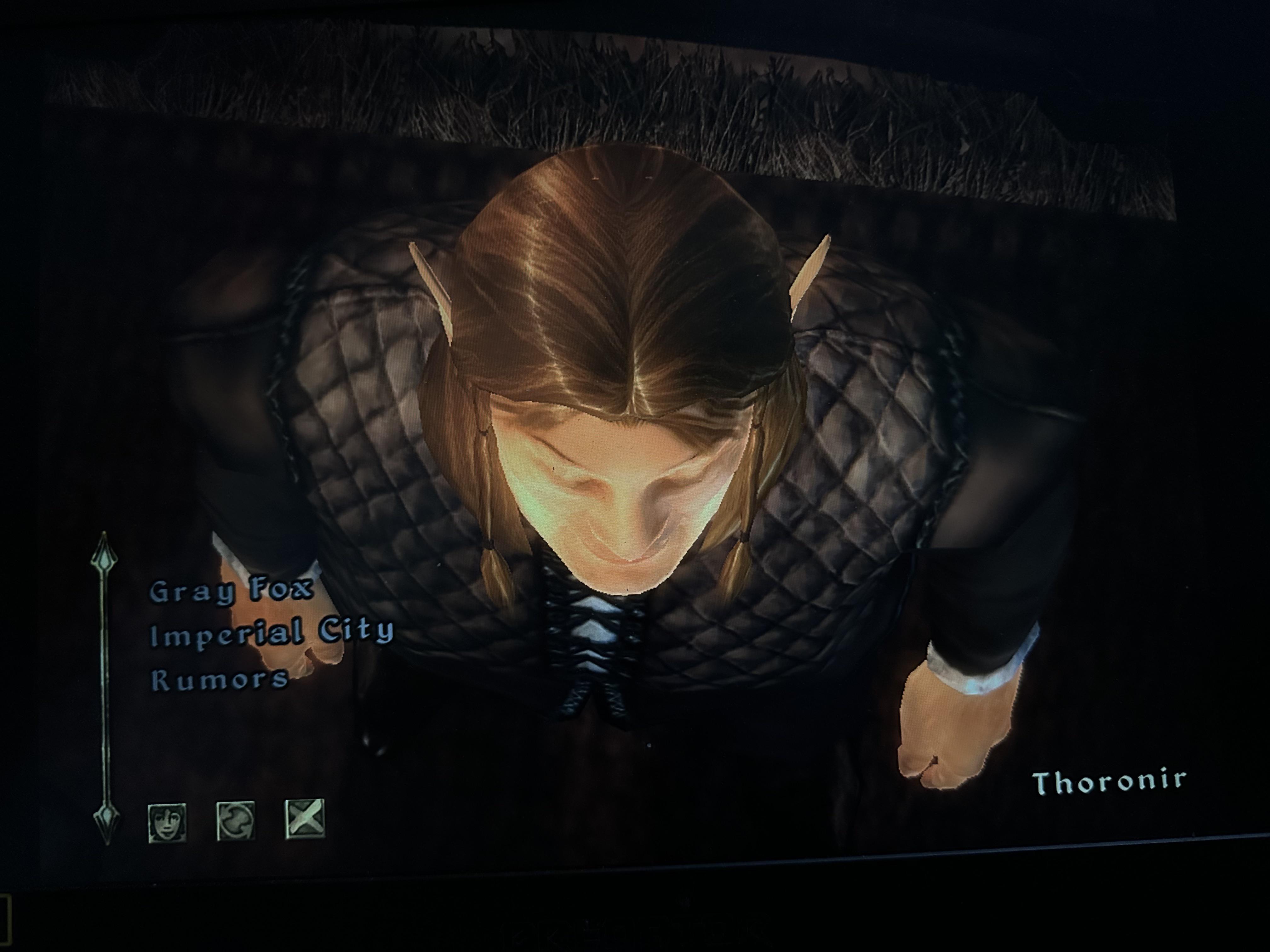 Am I the only one who talks to NPCs like this? | Scrolller