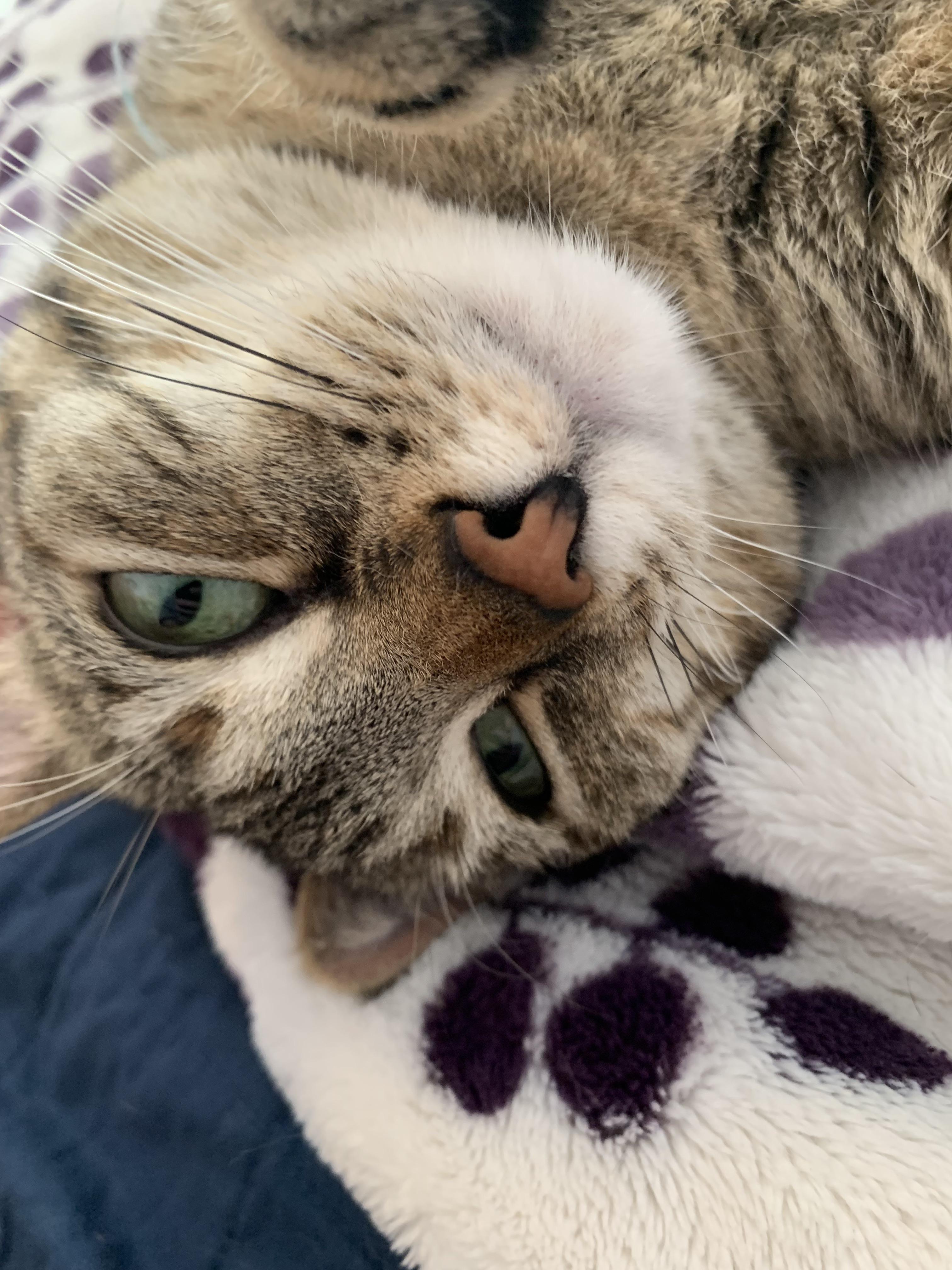 Stink💞 | Scrolller