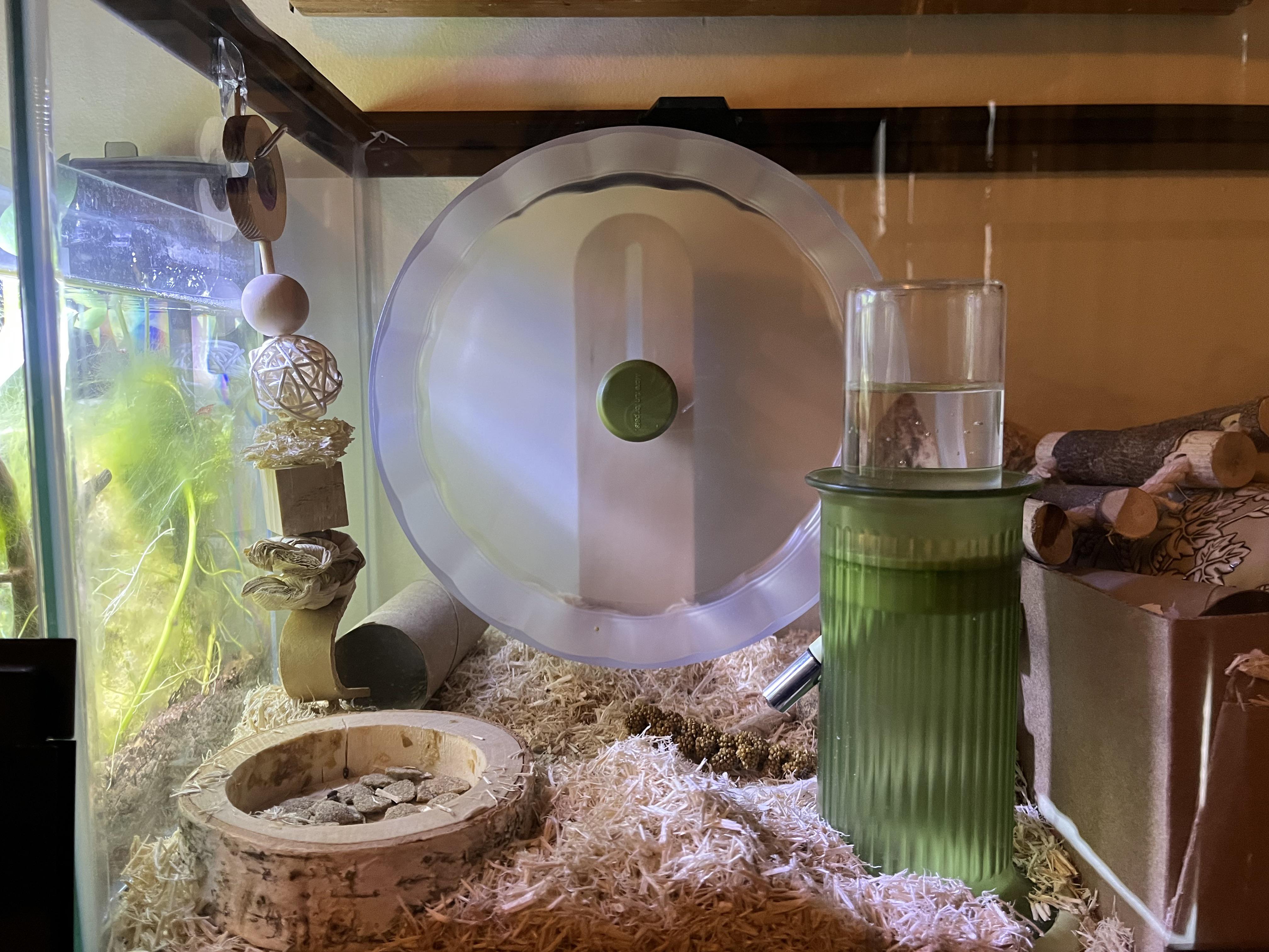 Whitby’s setup. Adding more hanging elements as I find them, the tank ...