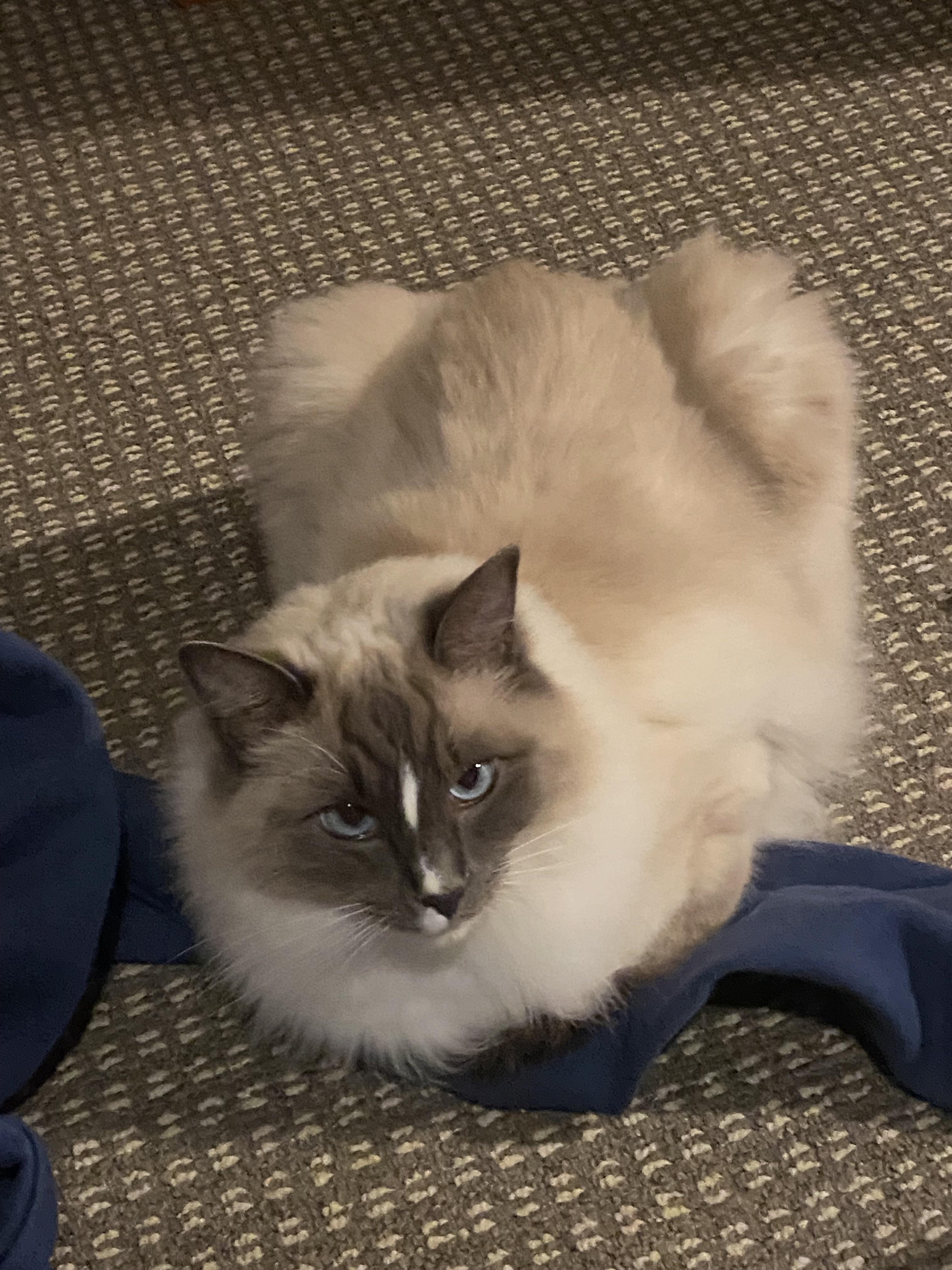 My loaf | Scrolller
