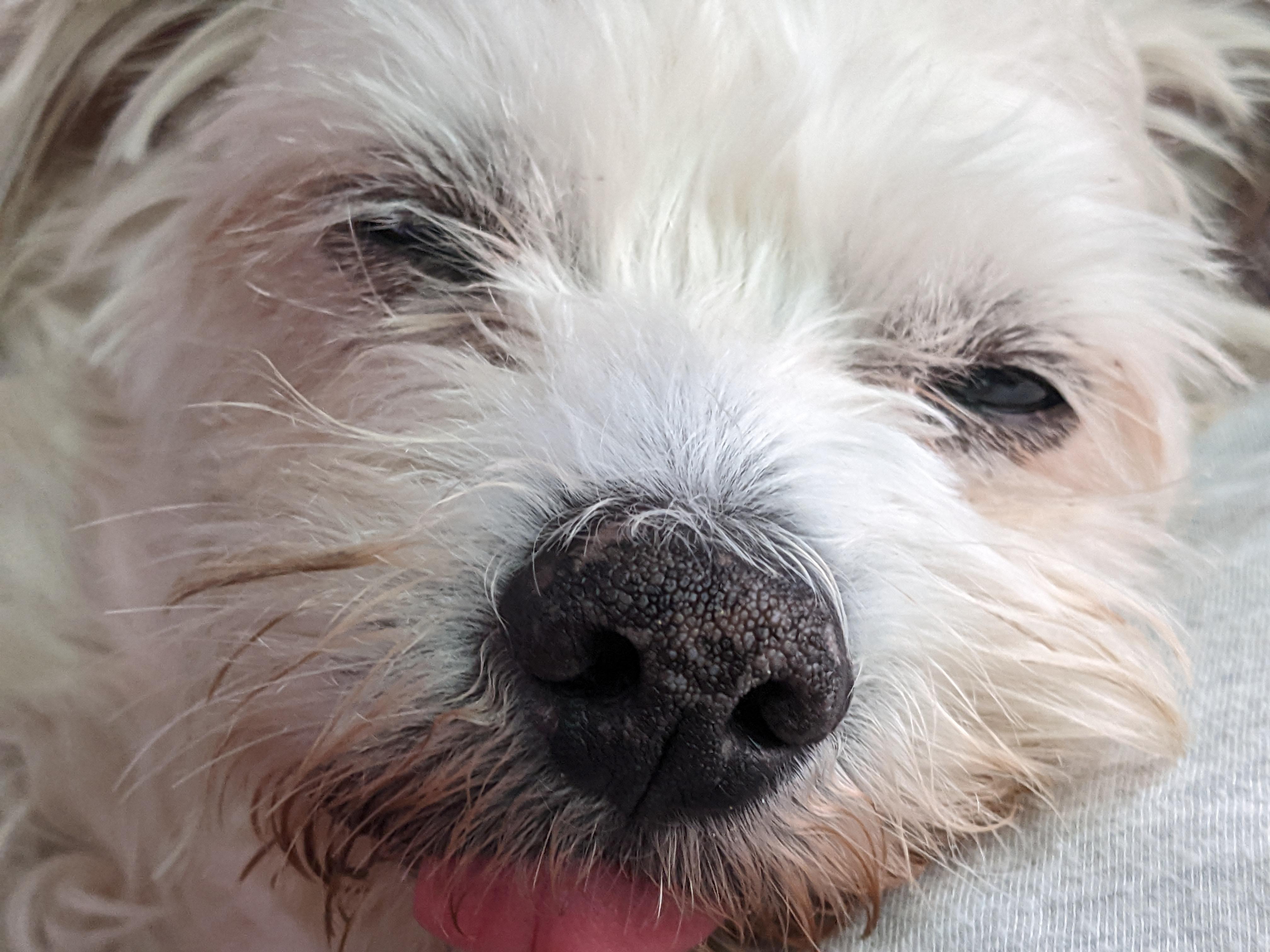 Getting Sleepy... [OC] | Scrolller