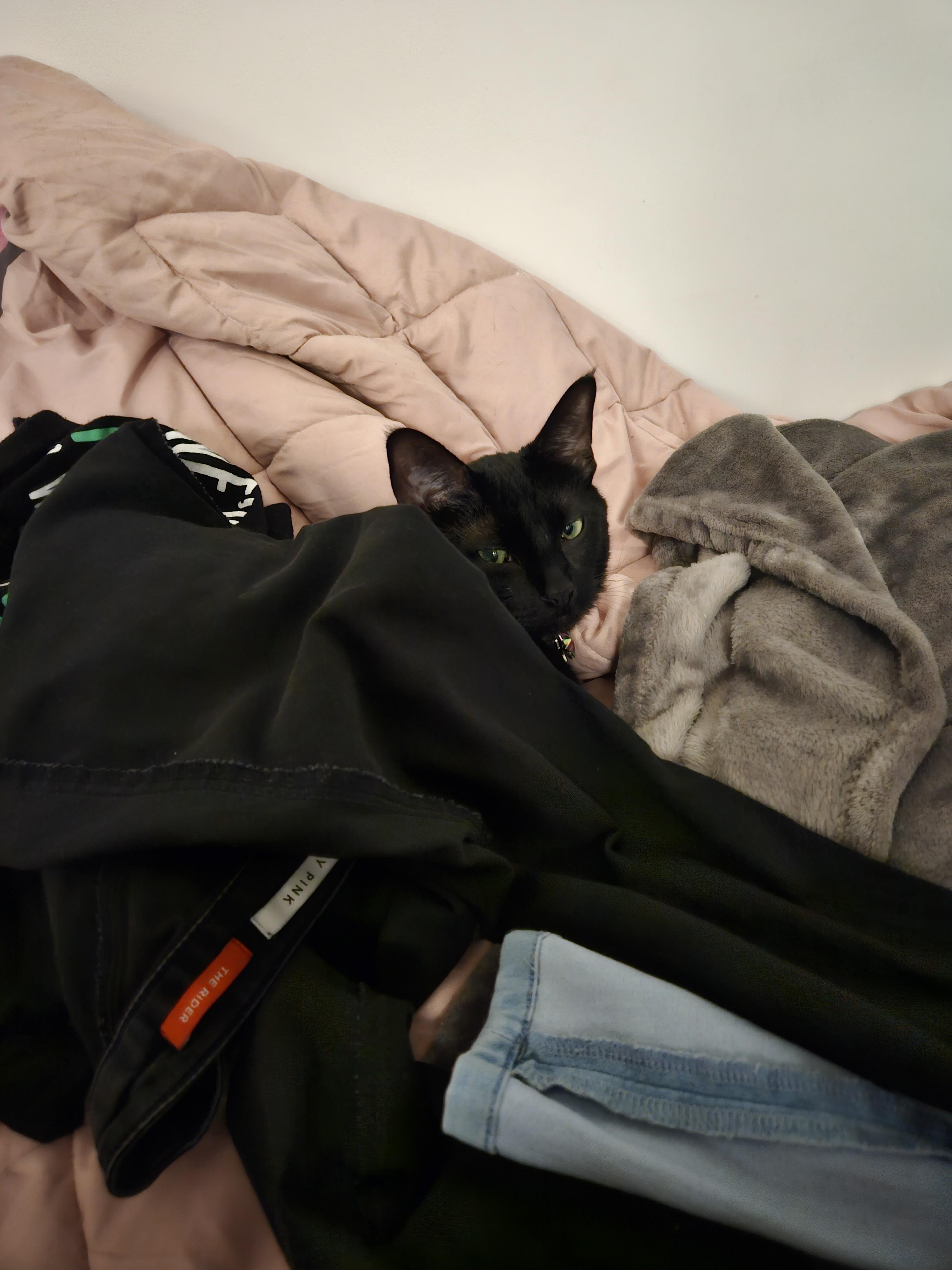 Void doing Void things | Scrolller