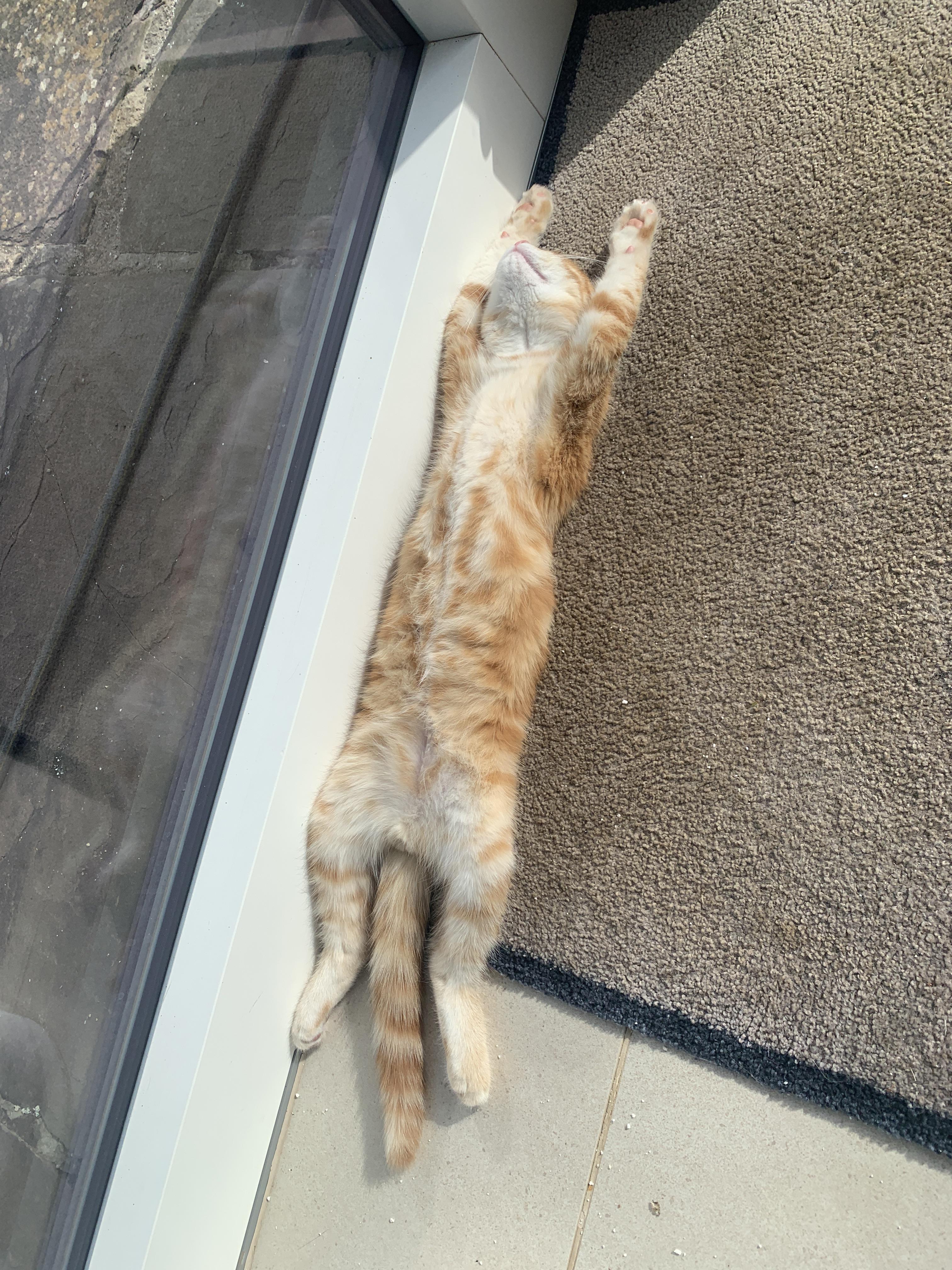 Shhh, he’s charging 🪫 | Scrolller