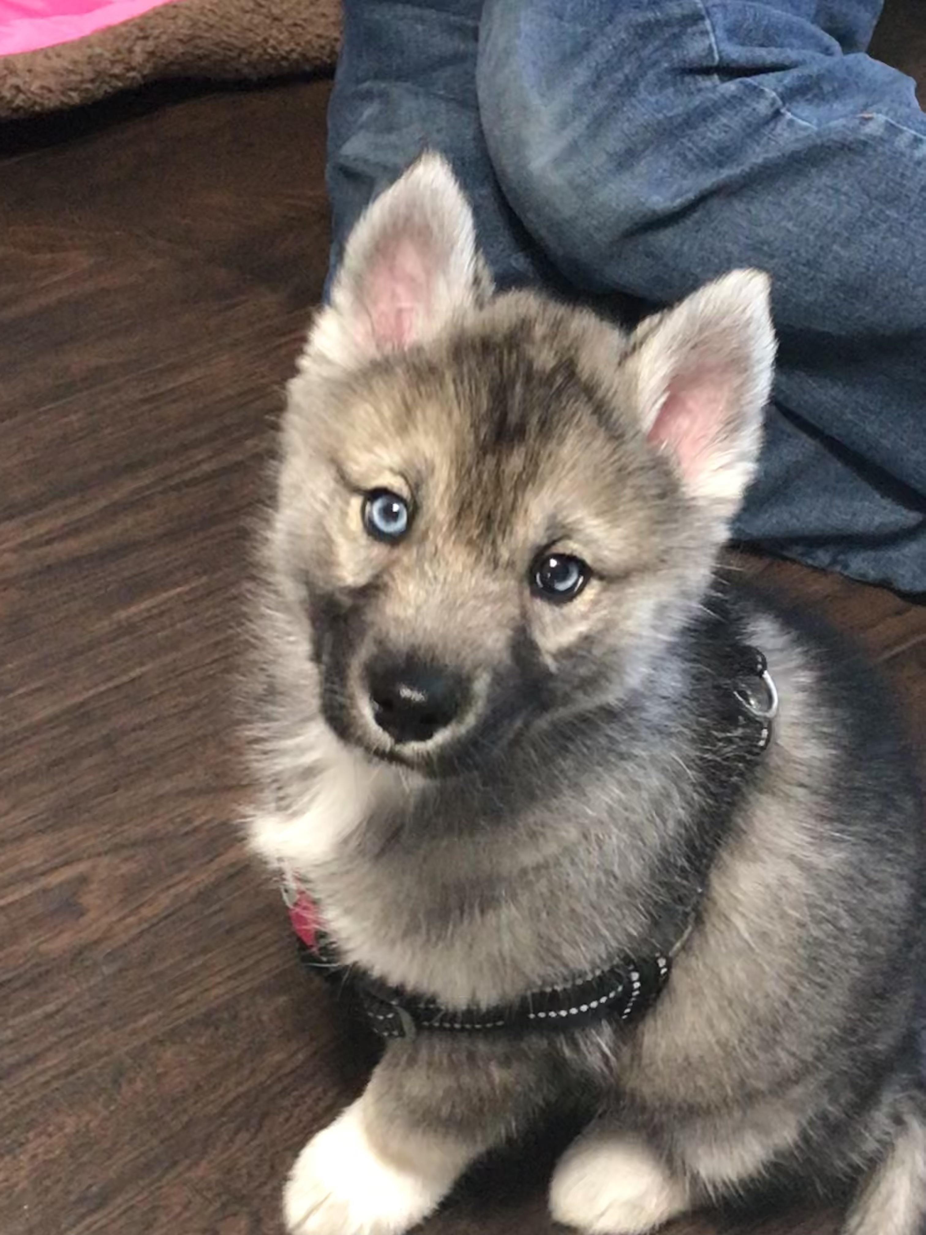 My new bff | Scrolller