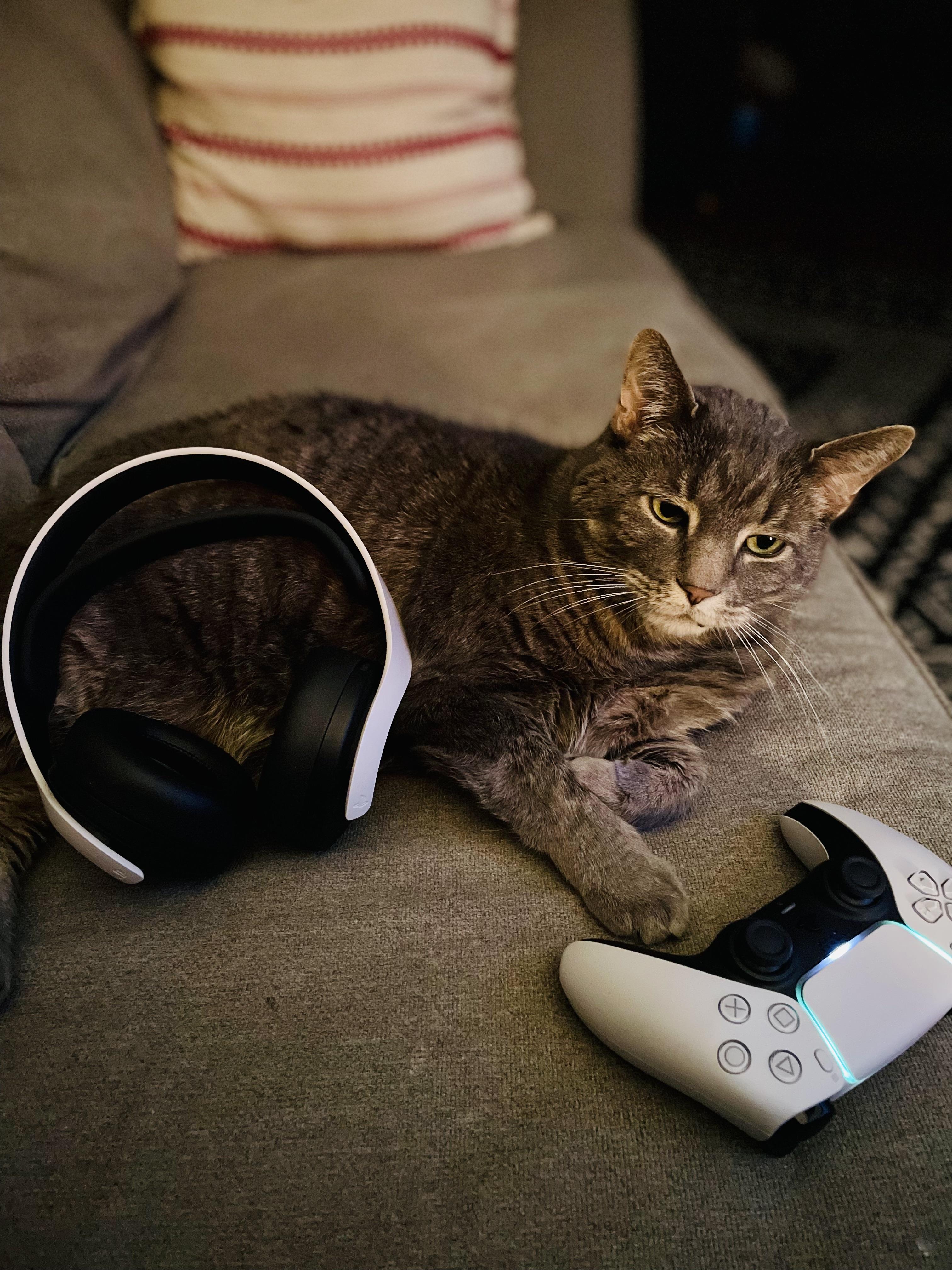 Atticus just turned 15 | Scrolller