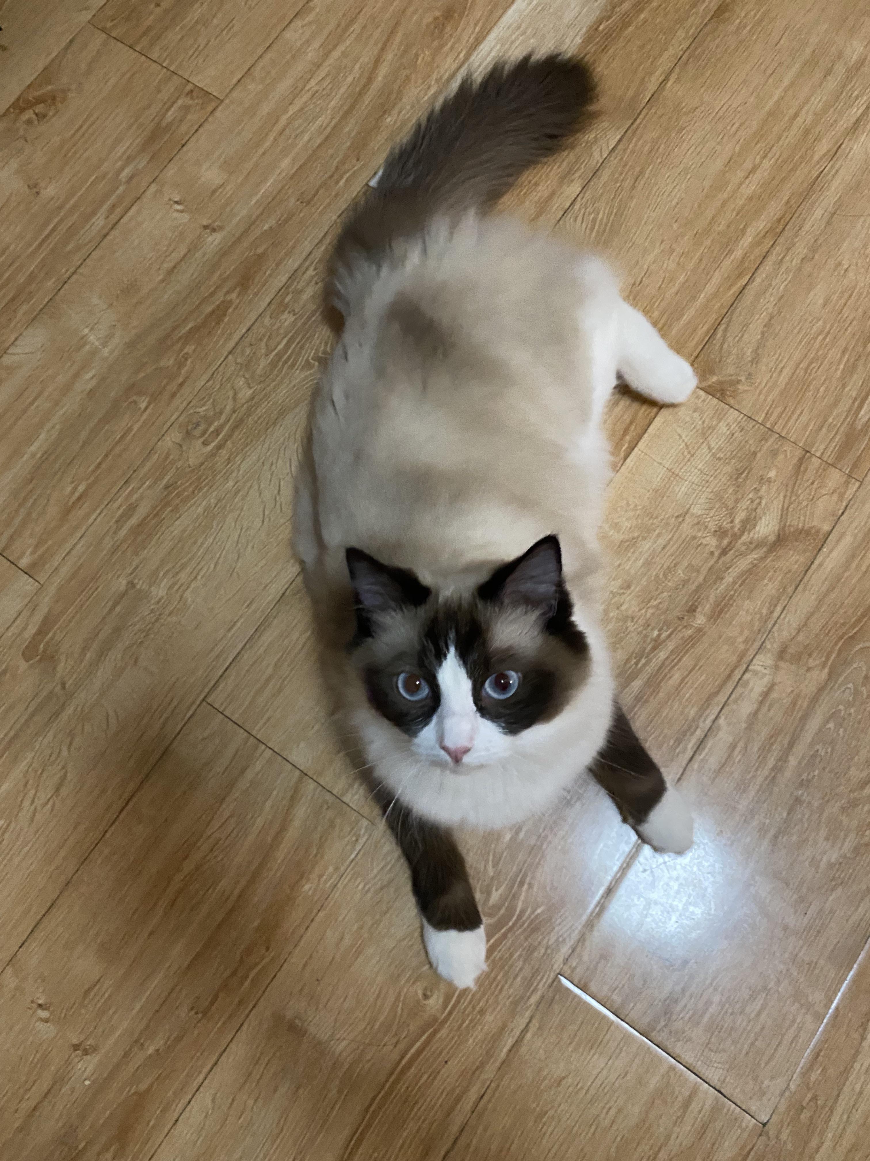 Jump…. | Scrolller