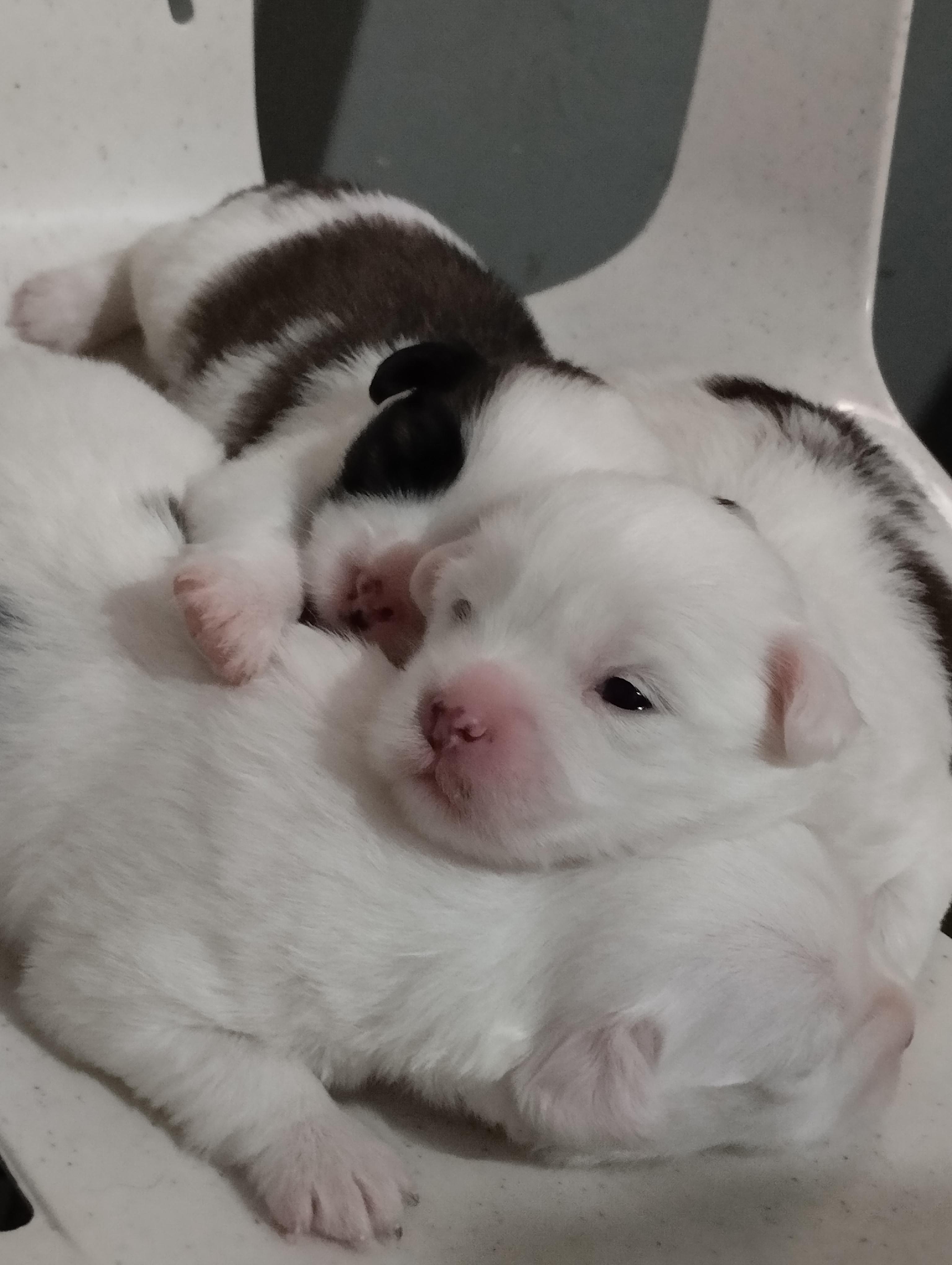 Cuddles. | Scrolller