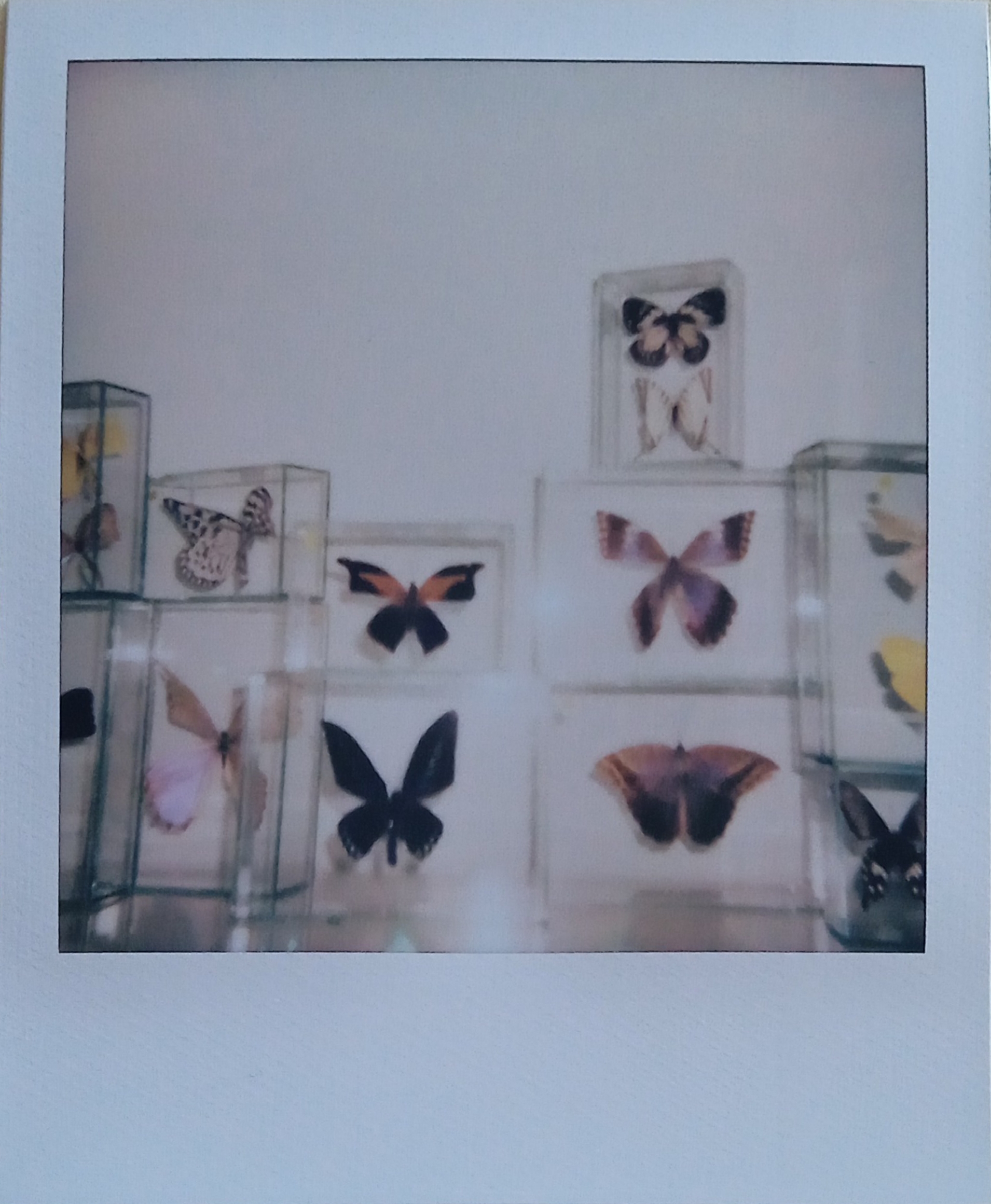 Photos from my recent trip to Germany, Polaroid Impulse. | Scrolller