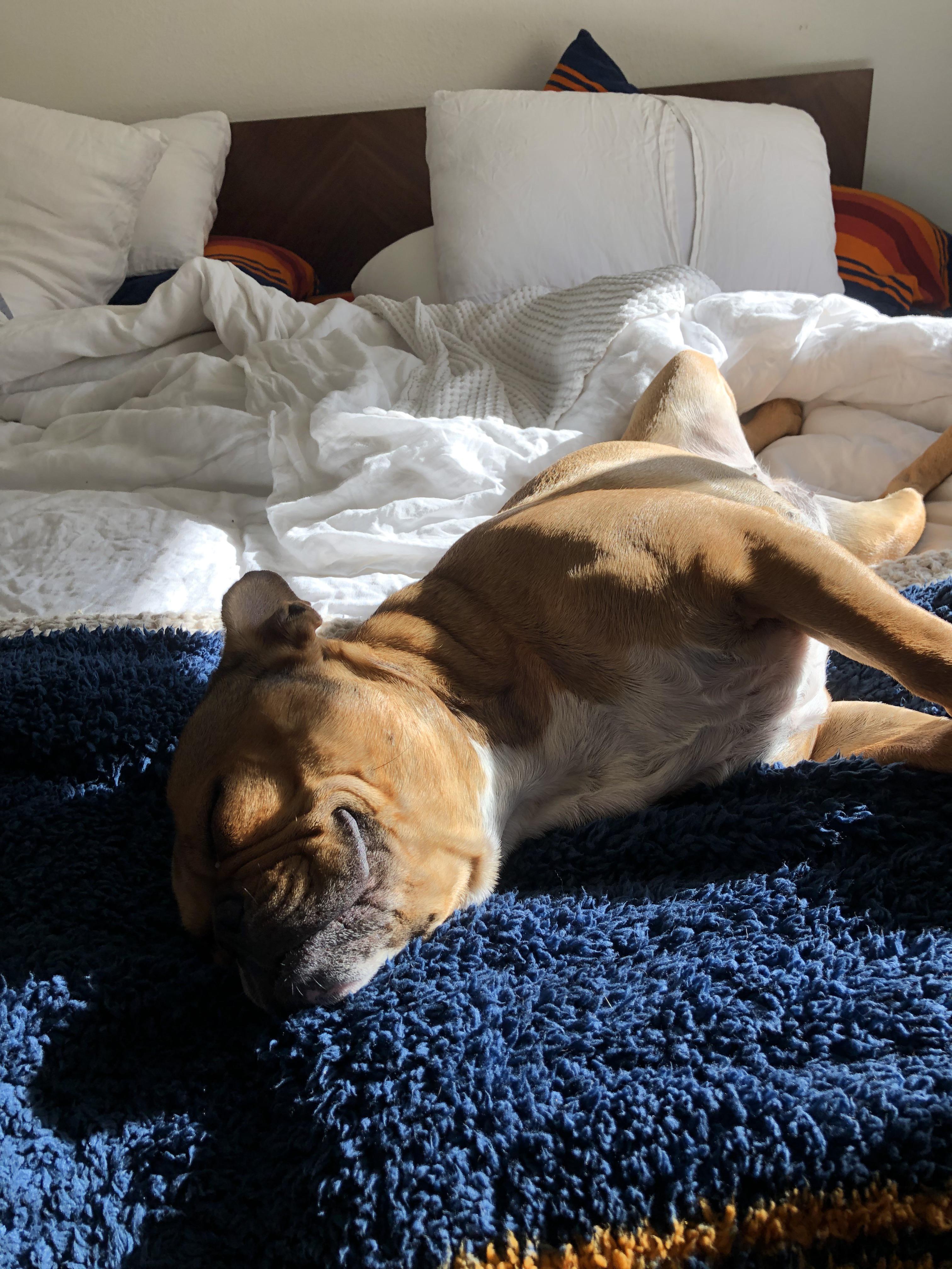 This is my Winnifred aka “Winnie”. | Scrolller