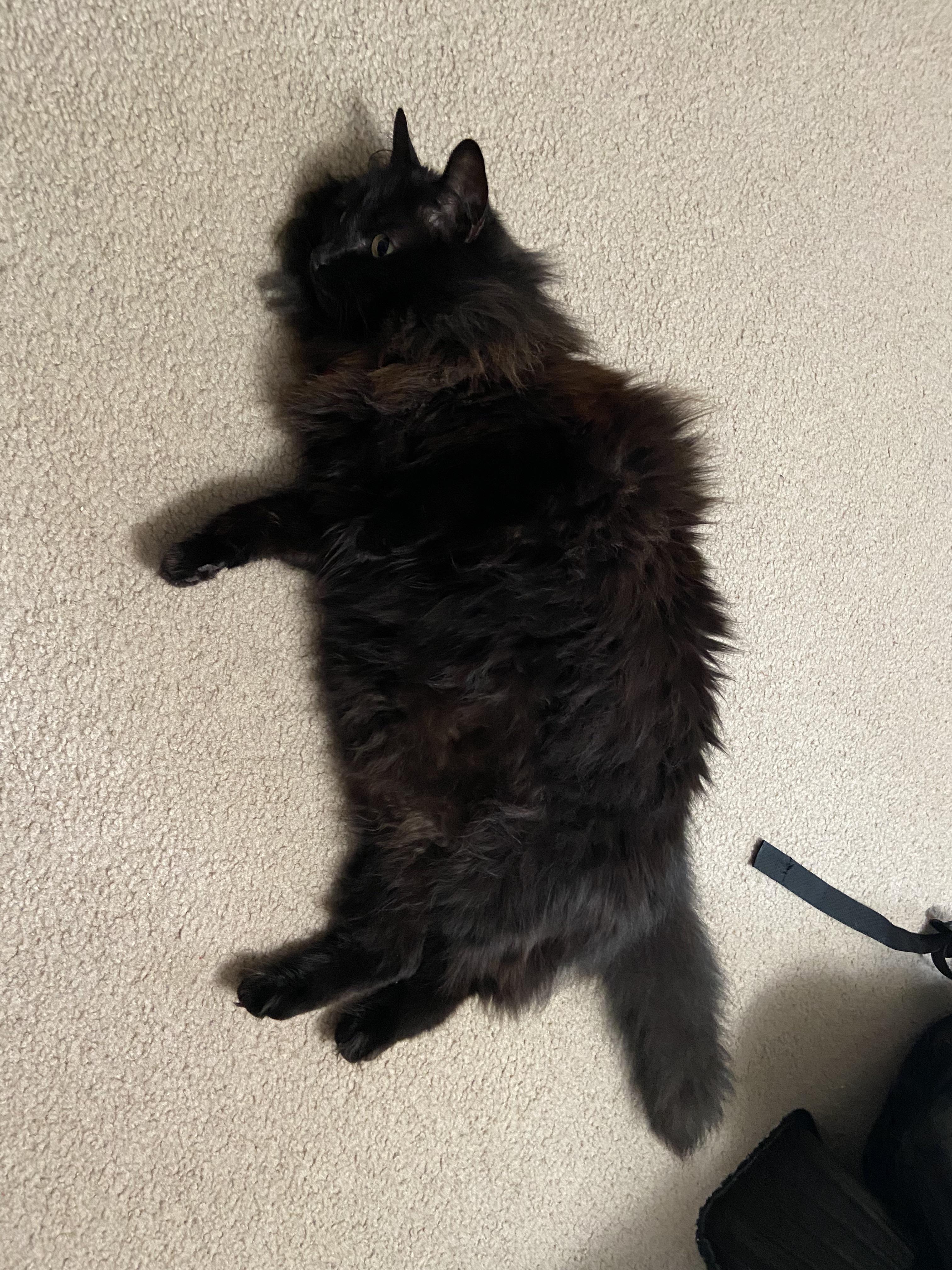 Sleepy baby belly | Scrolller