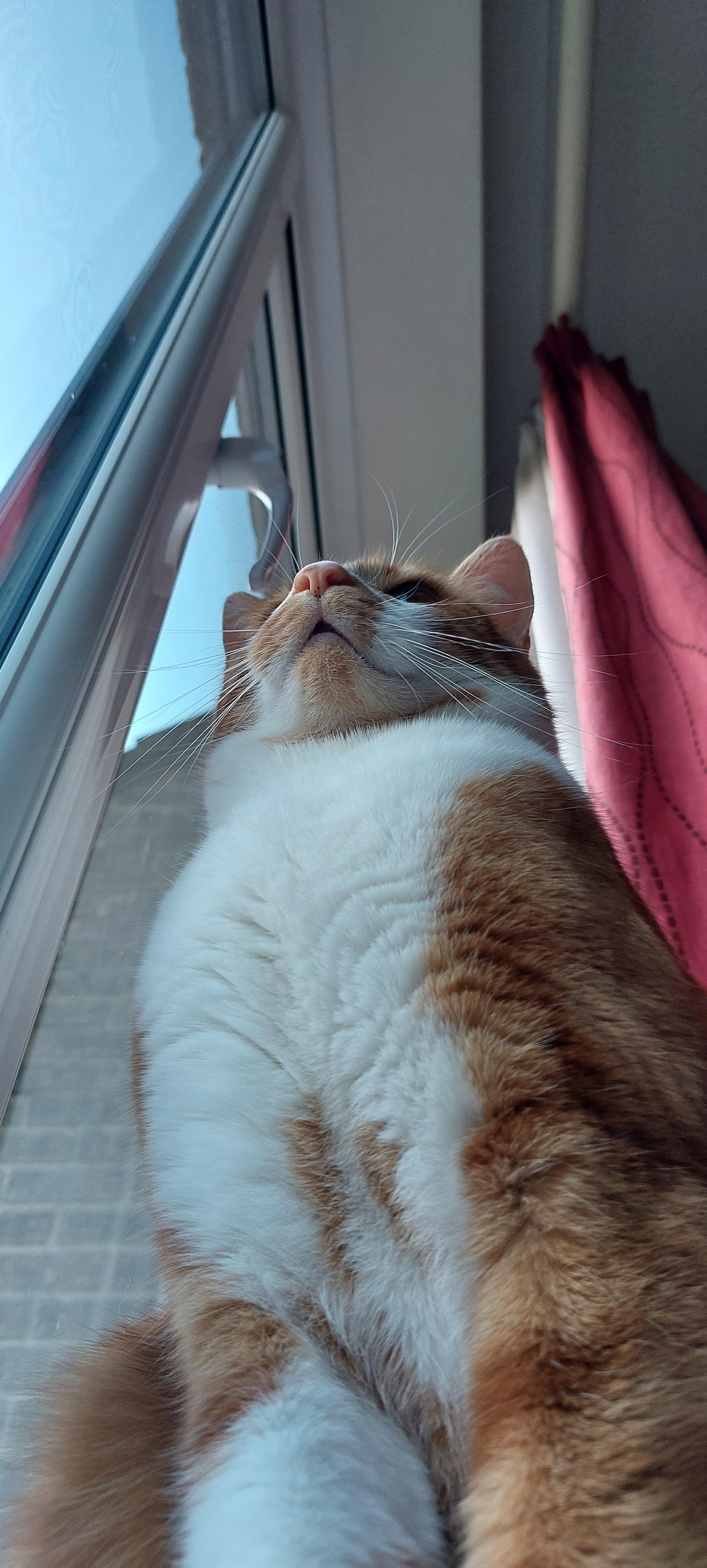 Happy 4th birthday Alfie, the time really flies! | Scrolller