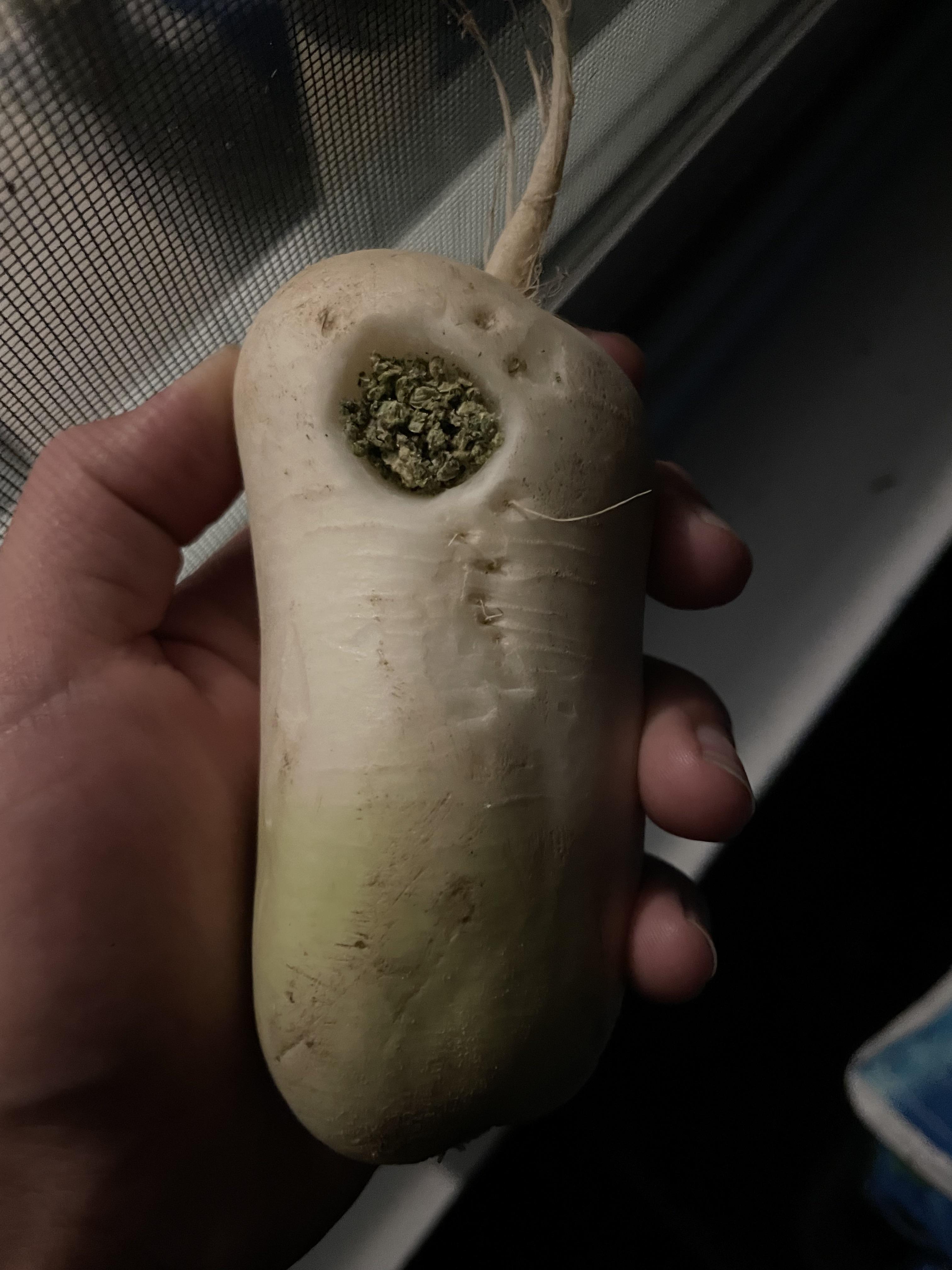 Radish pipe | Scrolller