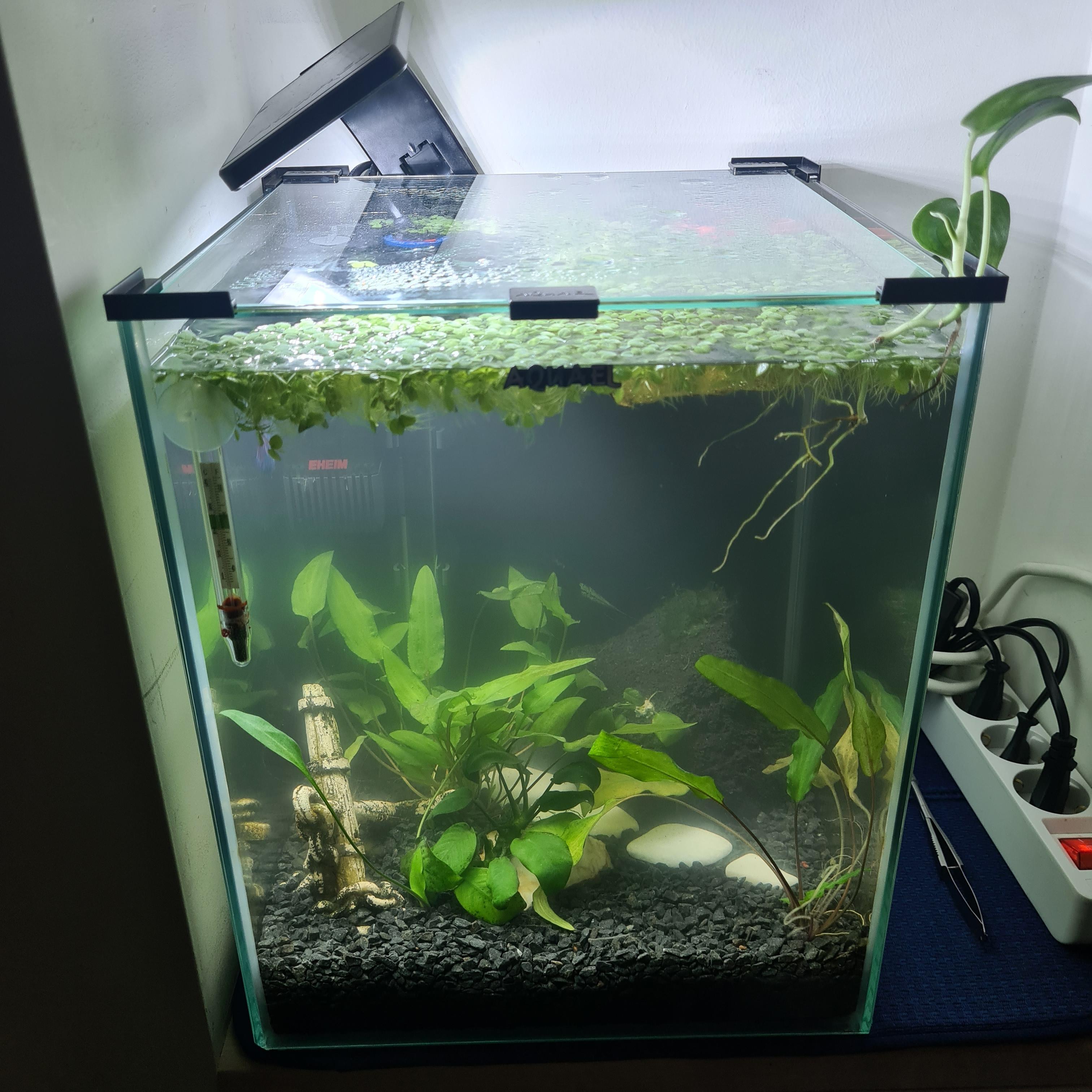 What to add? | Scrolller