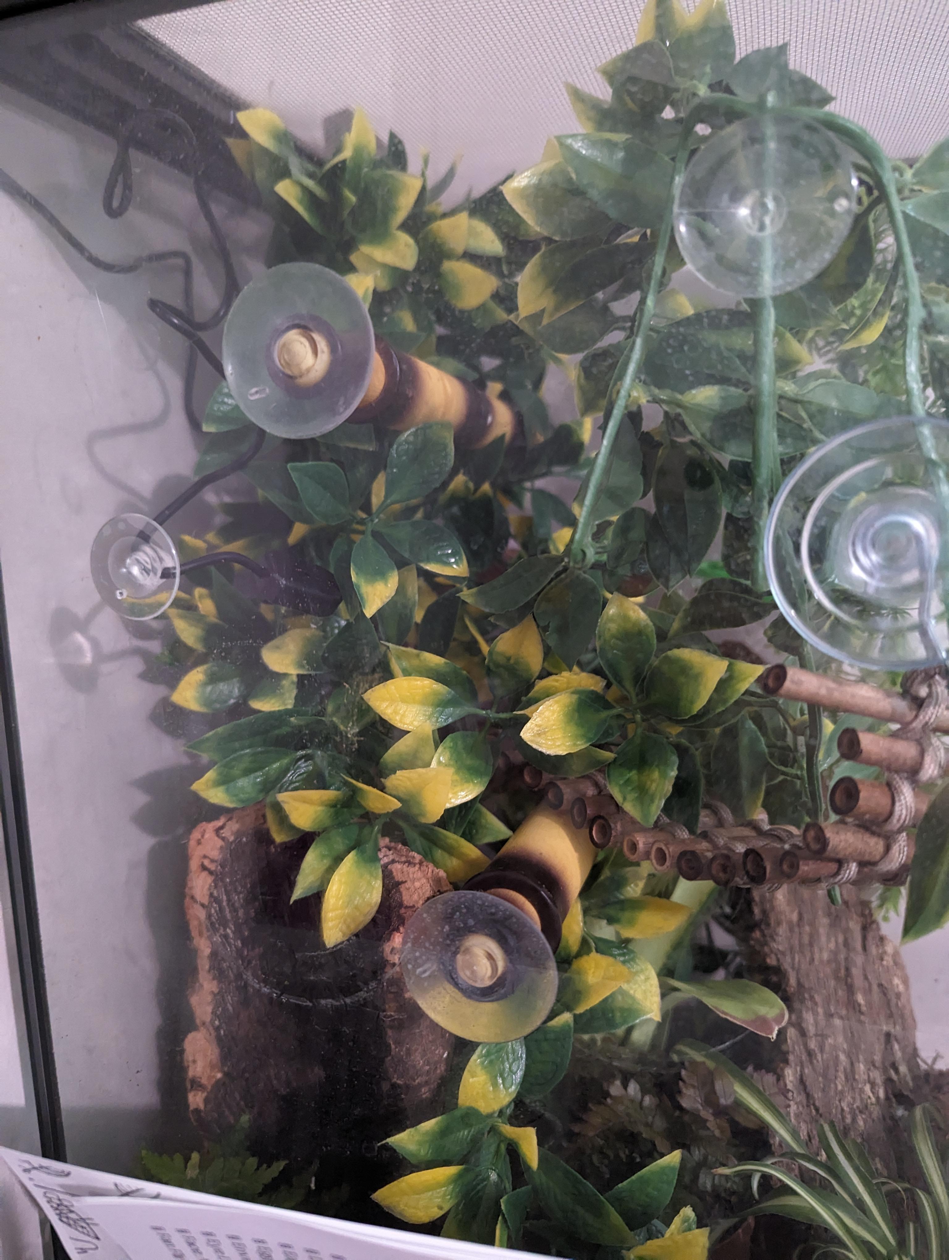 Cage update | Scrolller