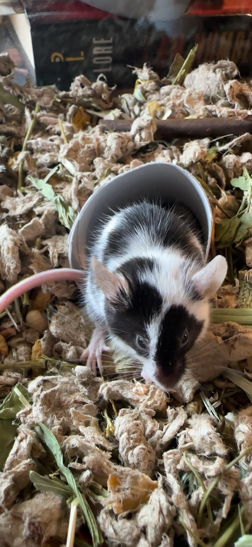 Any Tips? | Scrolller