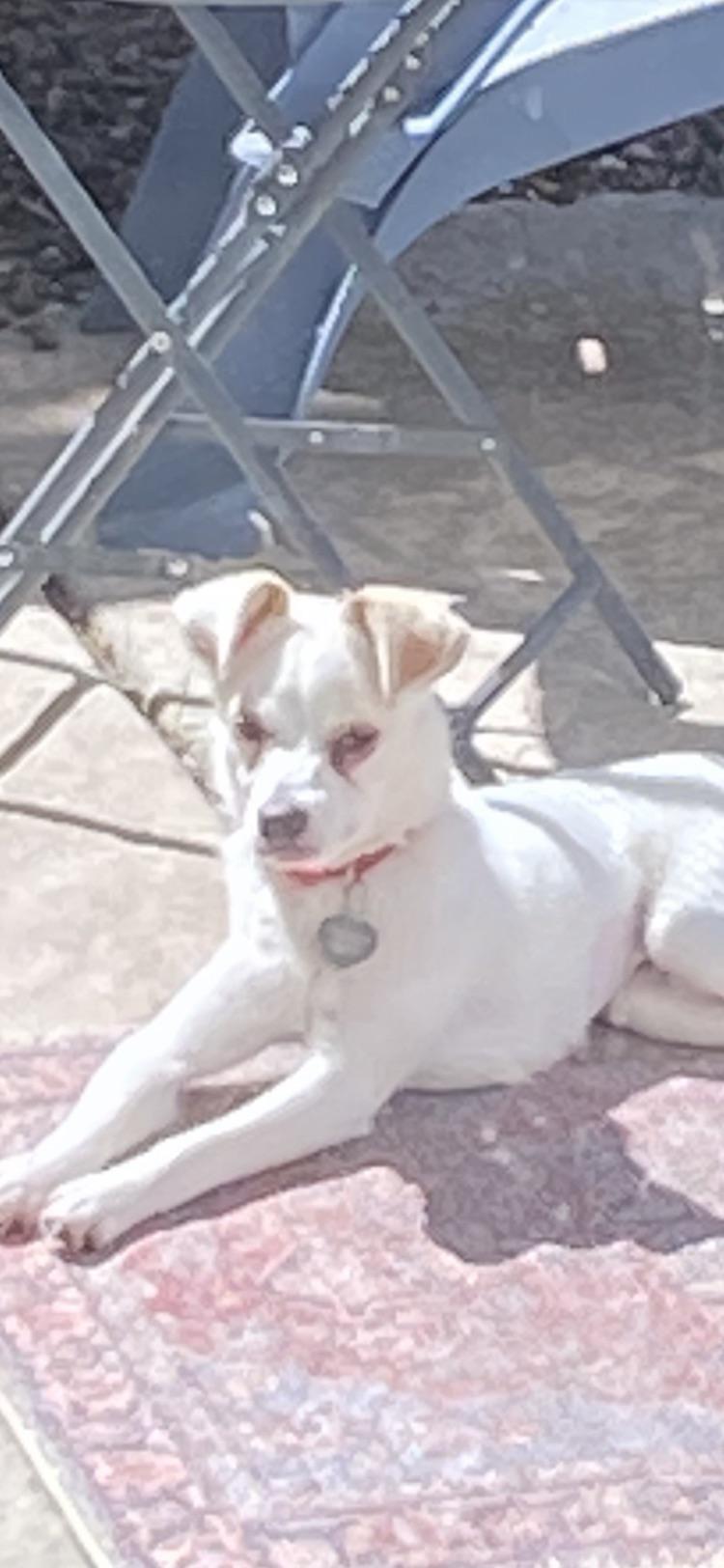 Meet Phoebe! | Scrolller