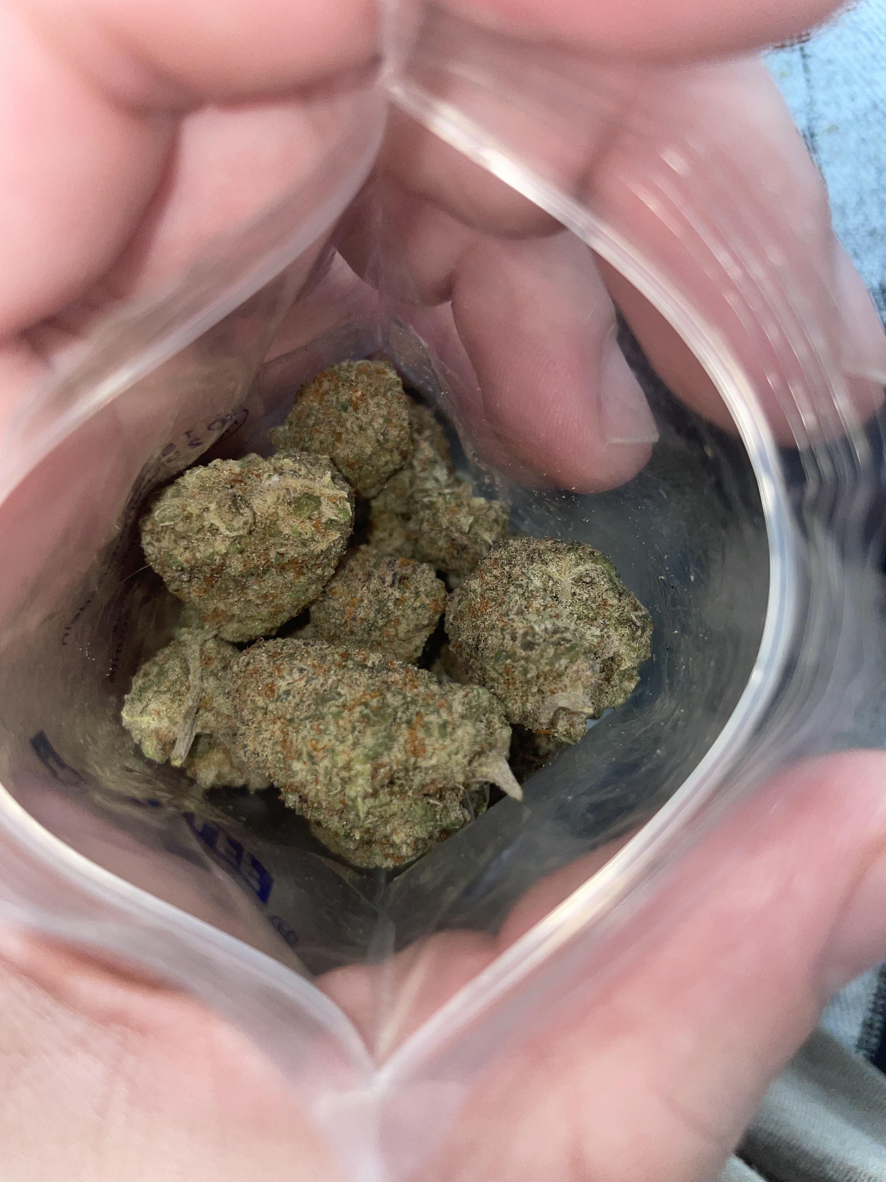 LAVA CAKE🌋🇨🇦 | Scrolller