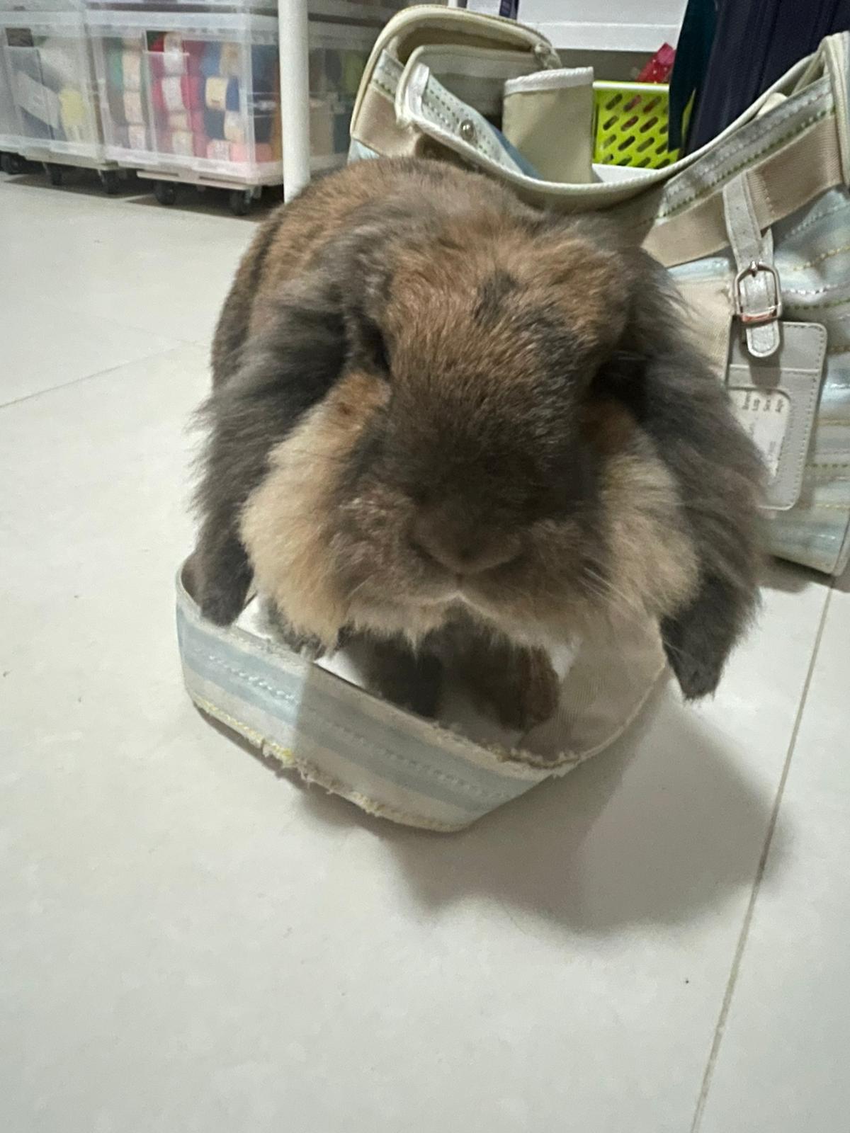 Dont let his cuteness fool you, he is a massive war criminal | Scrolller