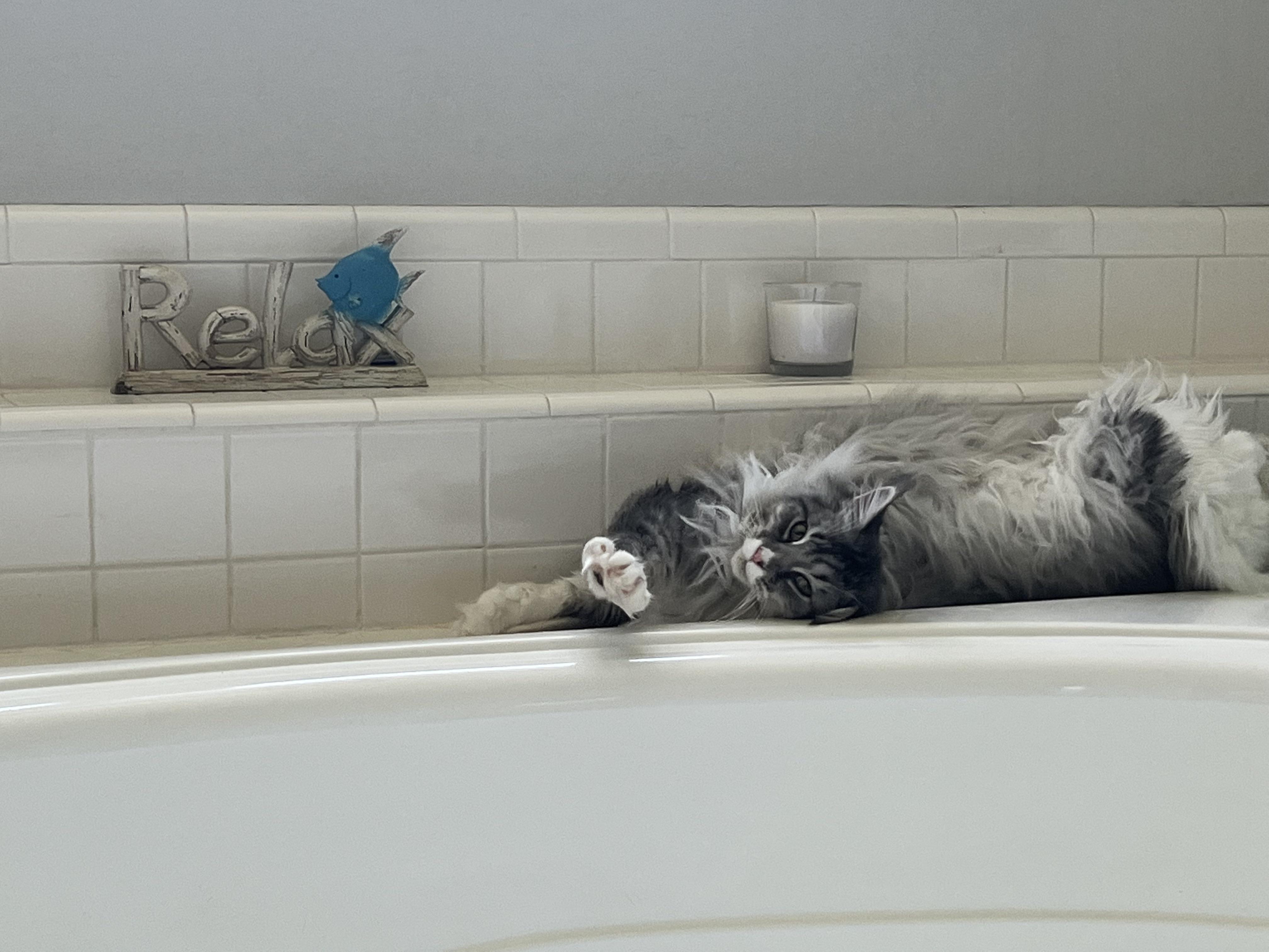 Understood the assignment | Scrolller