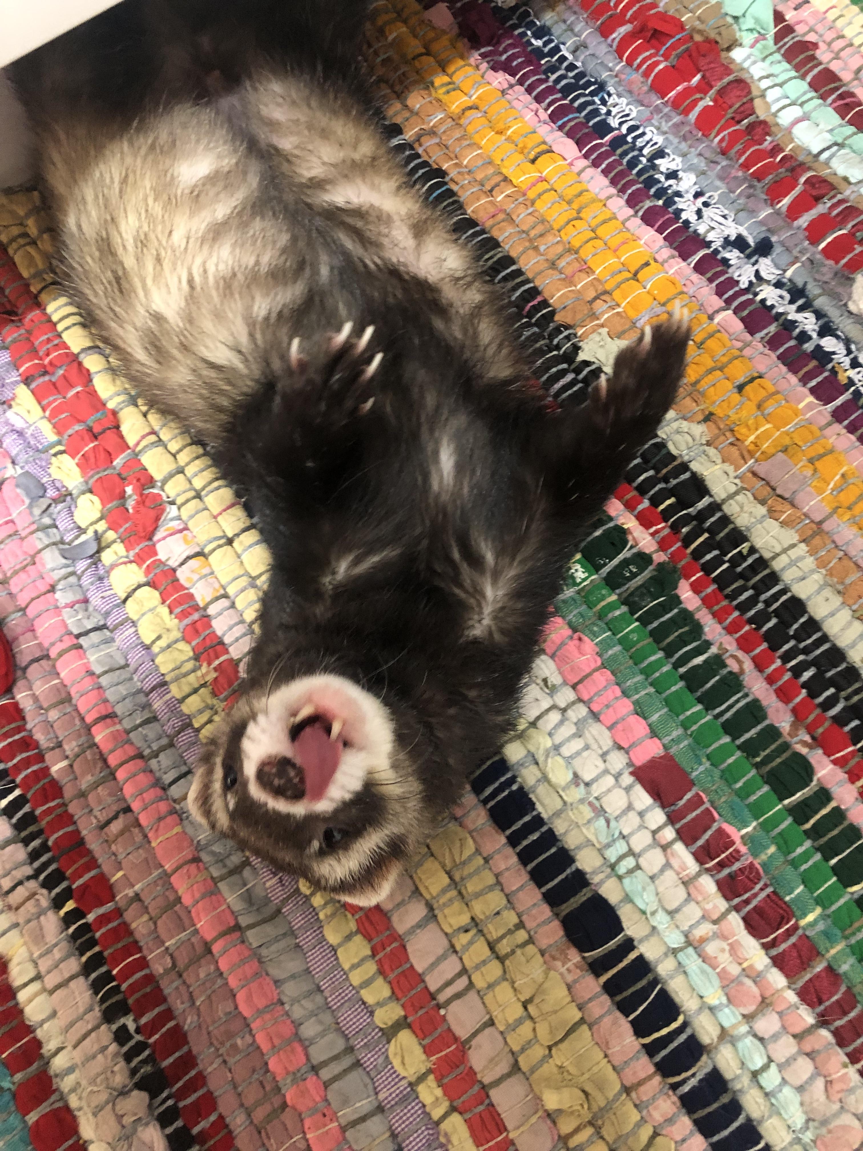 Steven is a menace | Scrolller