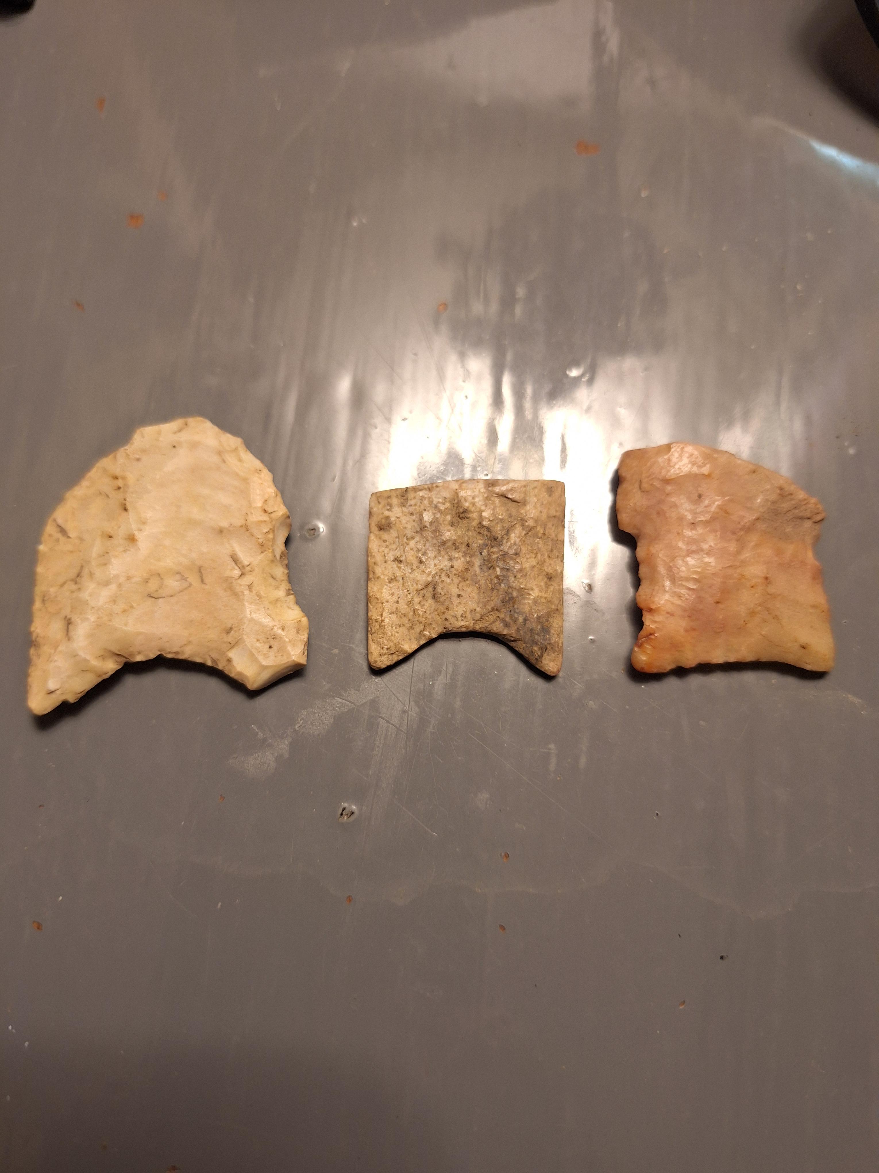 Identification help | Scrolller