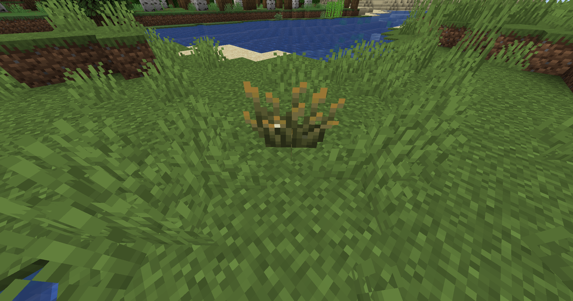 Why it looks so off? What you think of these textures? | Scrolller