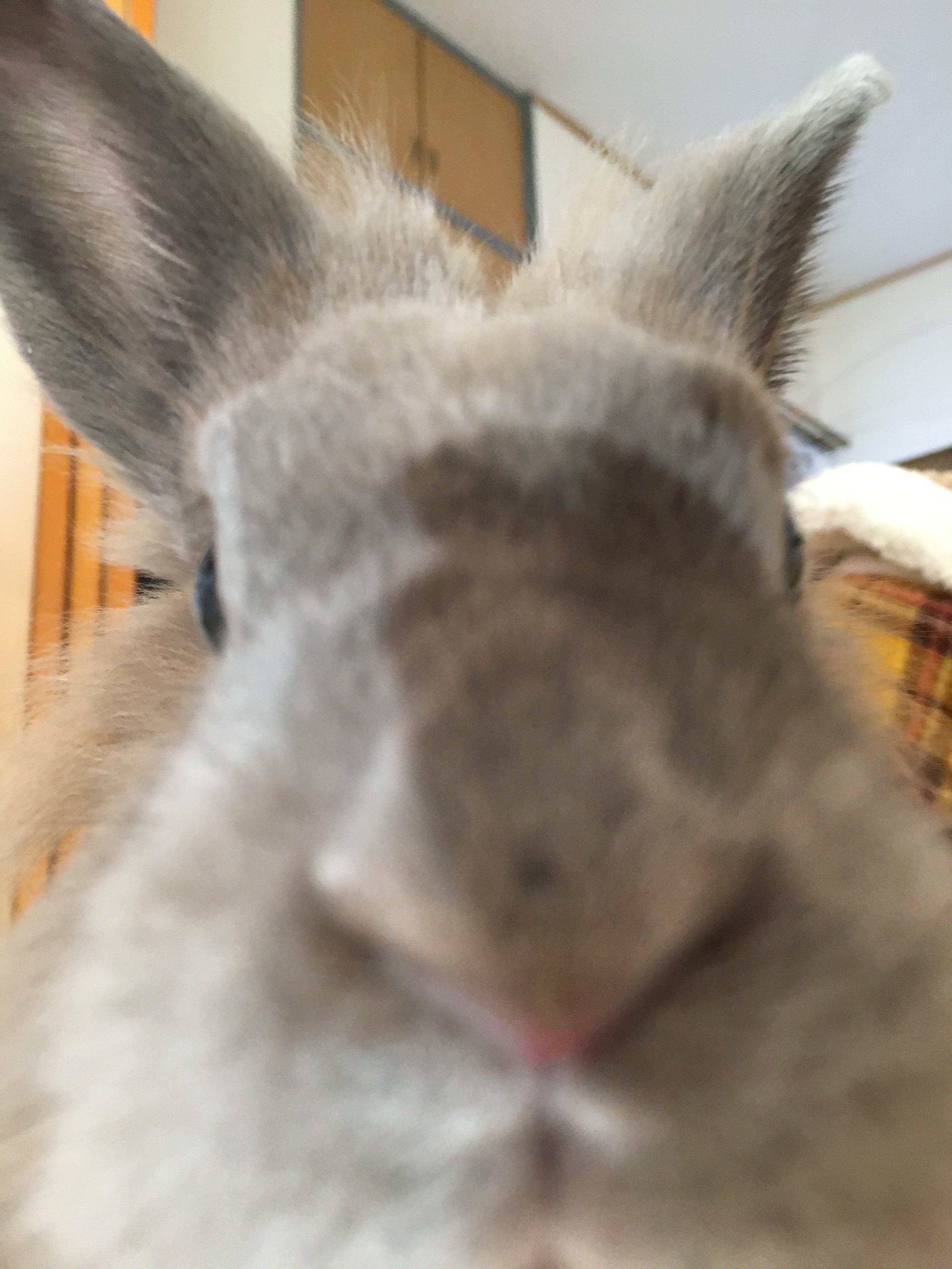 My Personal Space Is Her Personal Space Her Personal Space Is Her