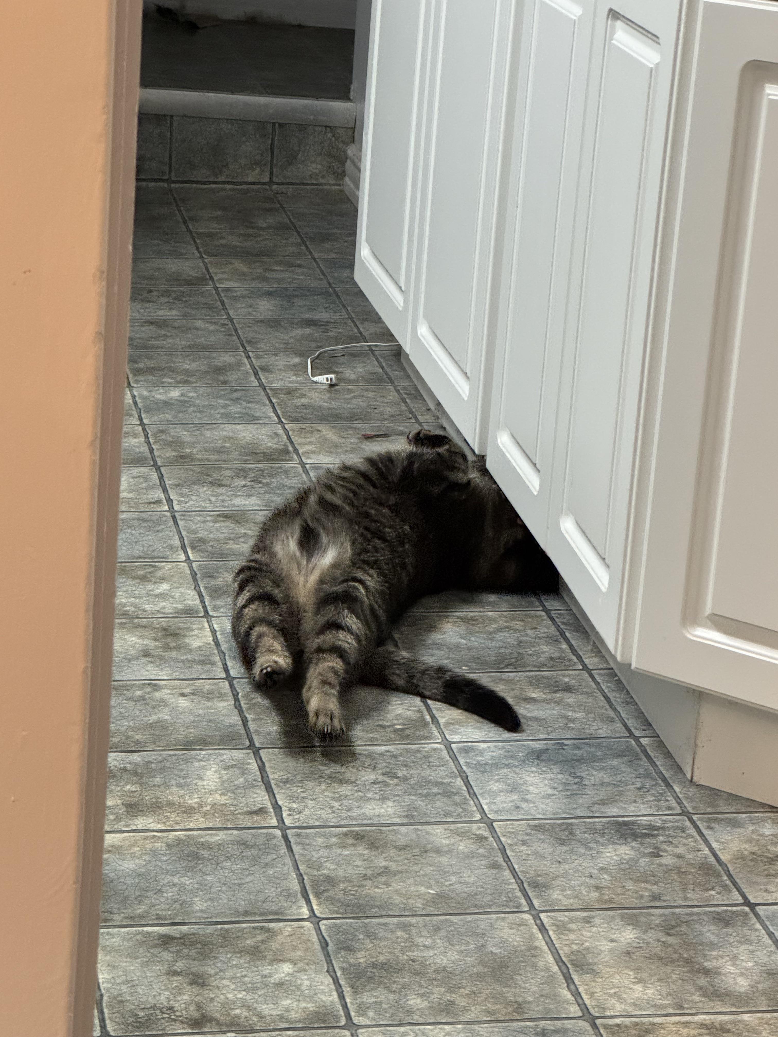 Inspection SIC | Scrolller