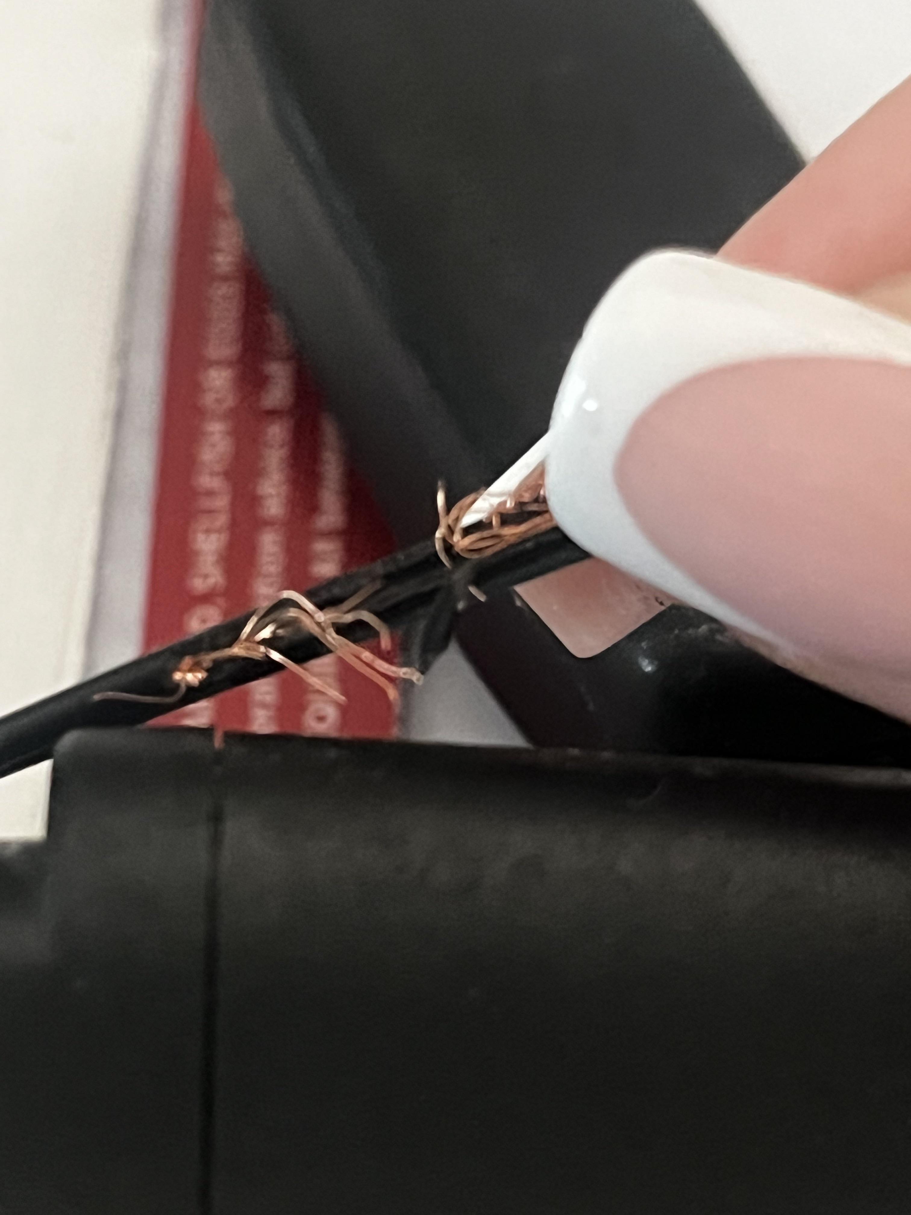 Friendly reminder that your chinchilla is NOT the exception. | Scrolller