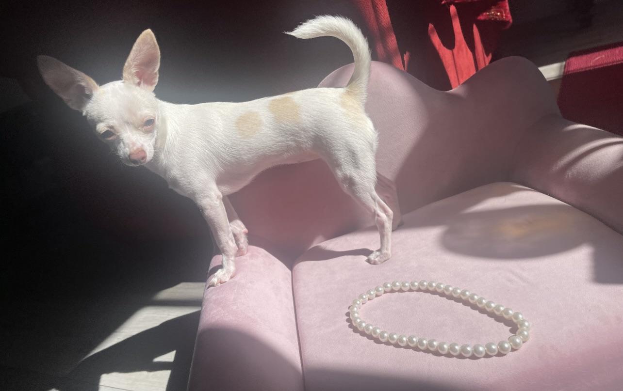 Model chi? | Scrolller