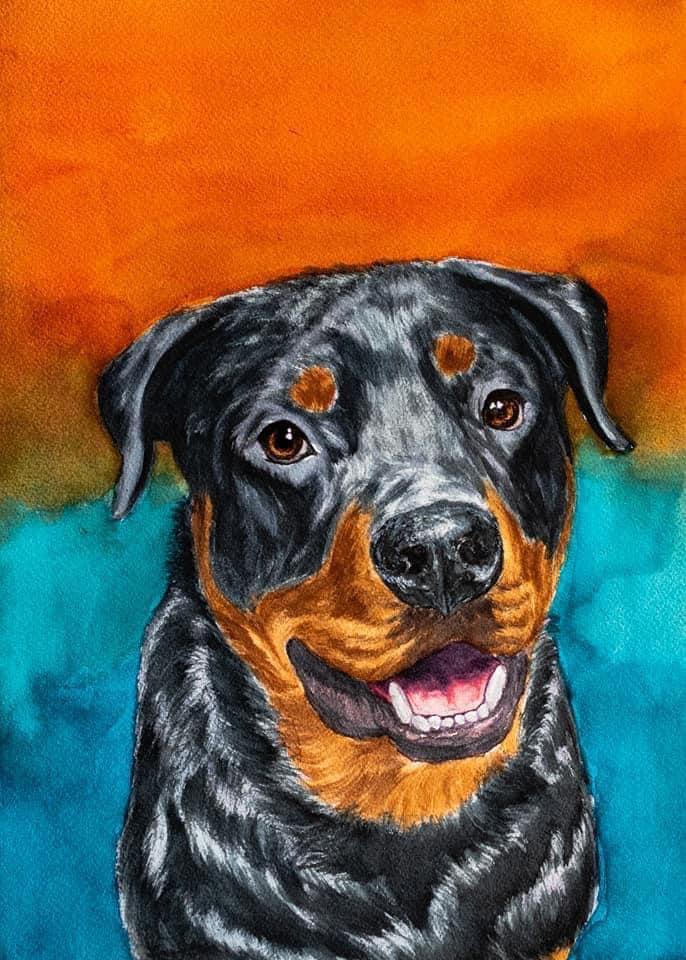 My Rottweiler paintings! Painted in watercolors. | Scrolller