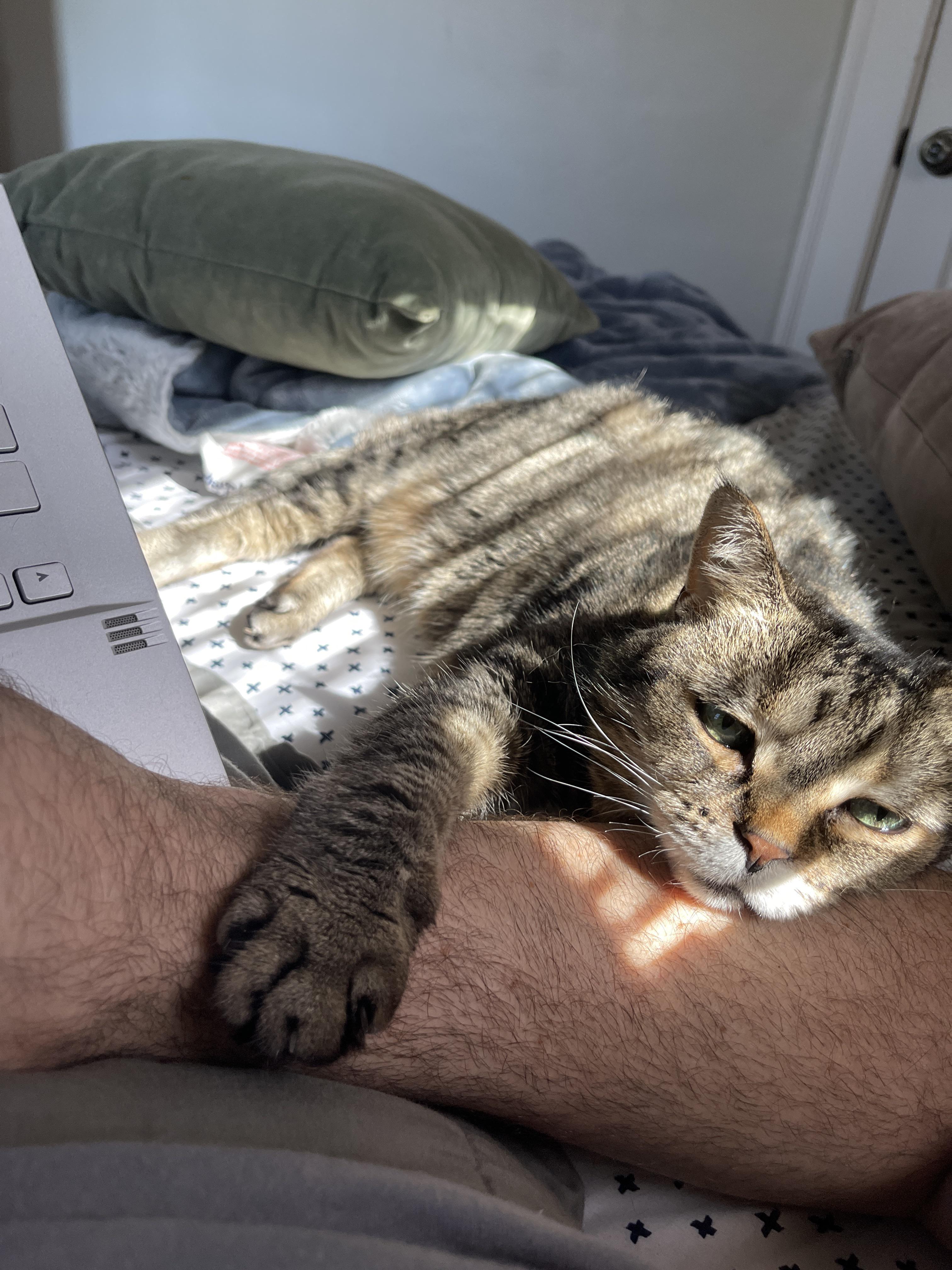 WFH distraction in full swing… | Scrolller