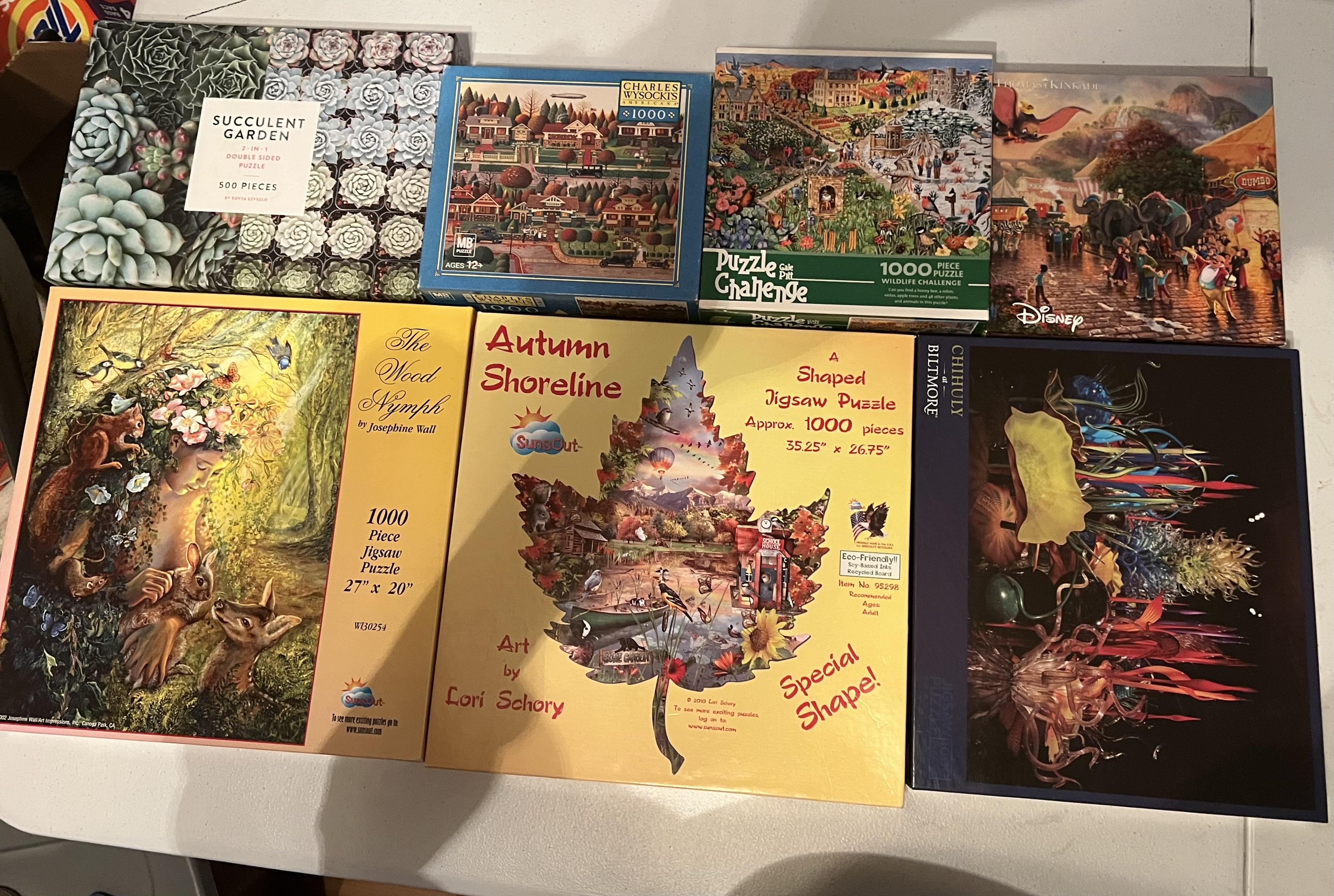 Goodwill puzzle haul | Scrolller