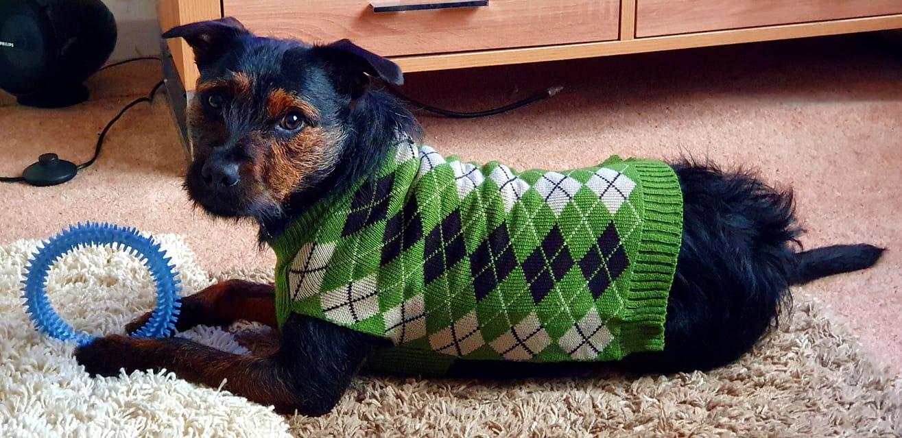 Goodbye Brian, the best friend I've ever had 🌈 | Scrolller