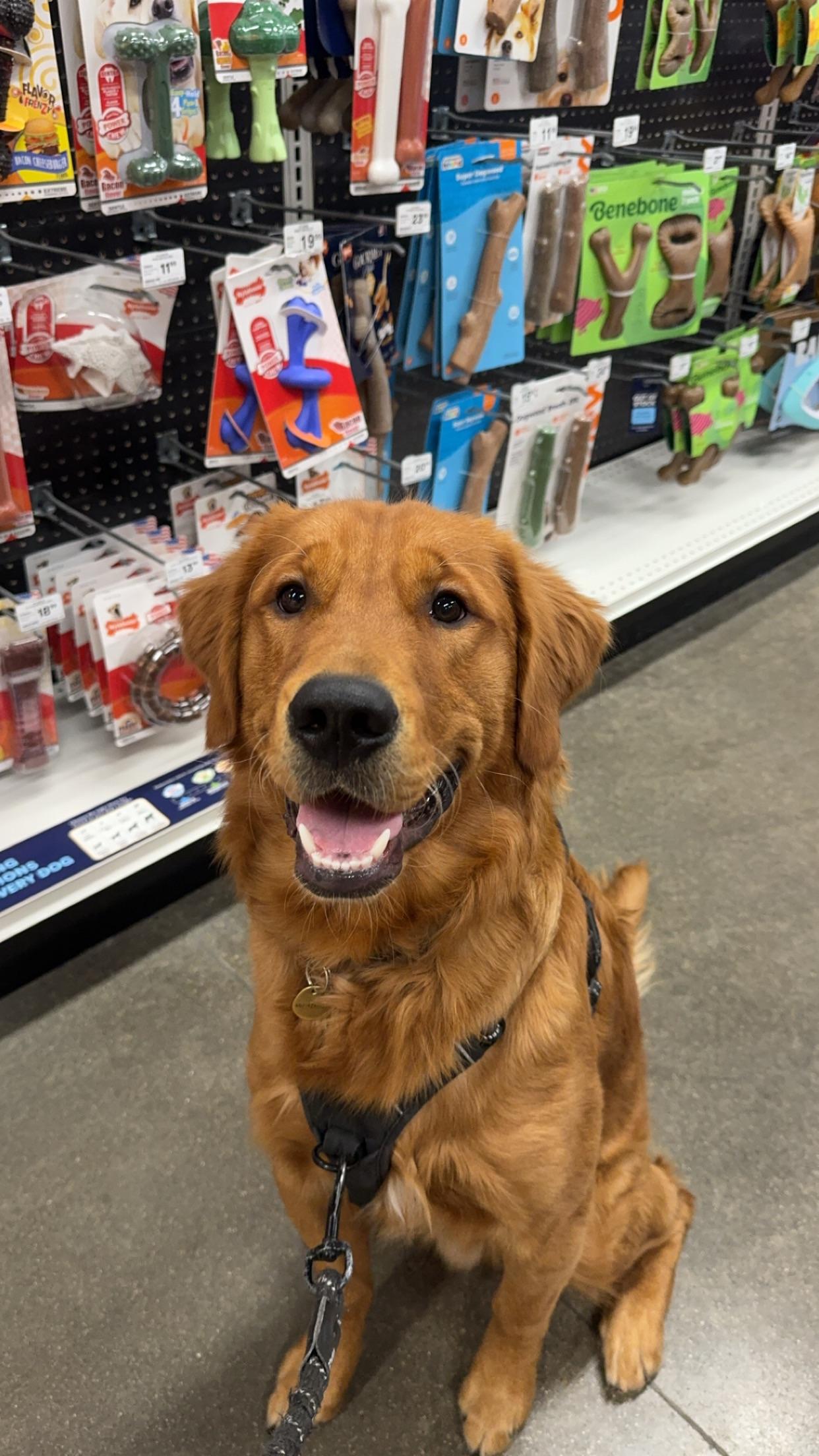 Toy Recommendations | Scrolller