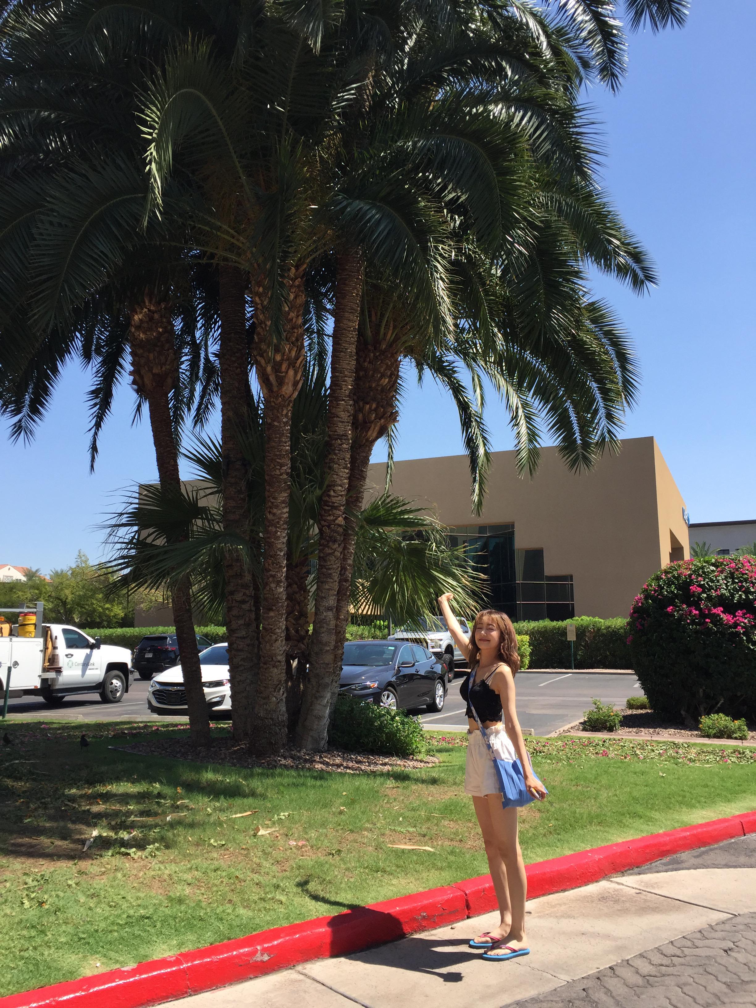 Secret Number - Lea | Scrolller