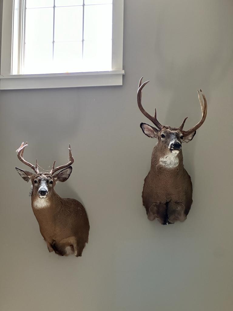 My 8 year old son’s 2022 buck | Scrolller