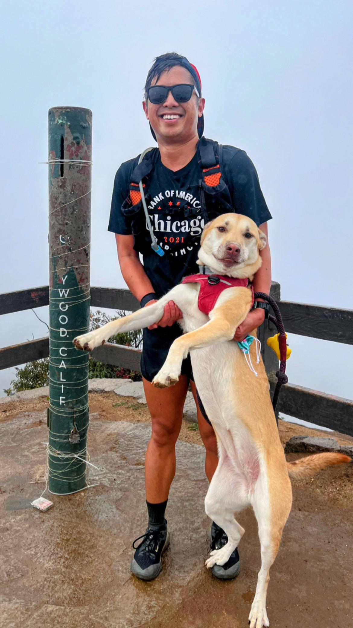 2022 In Running Mount Hollywood - How It Started Vs How It Ended | Scrolller