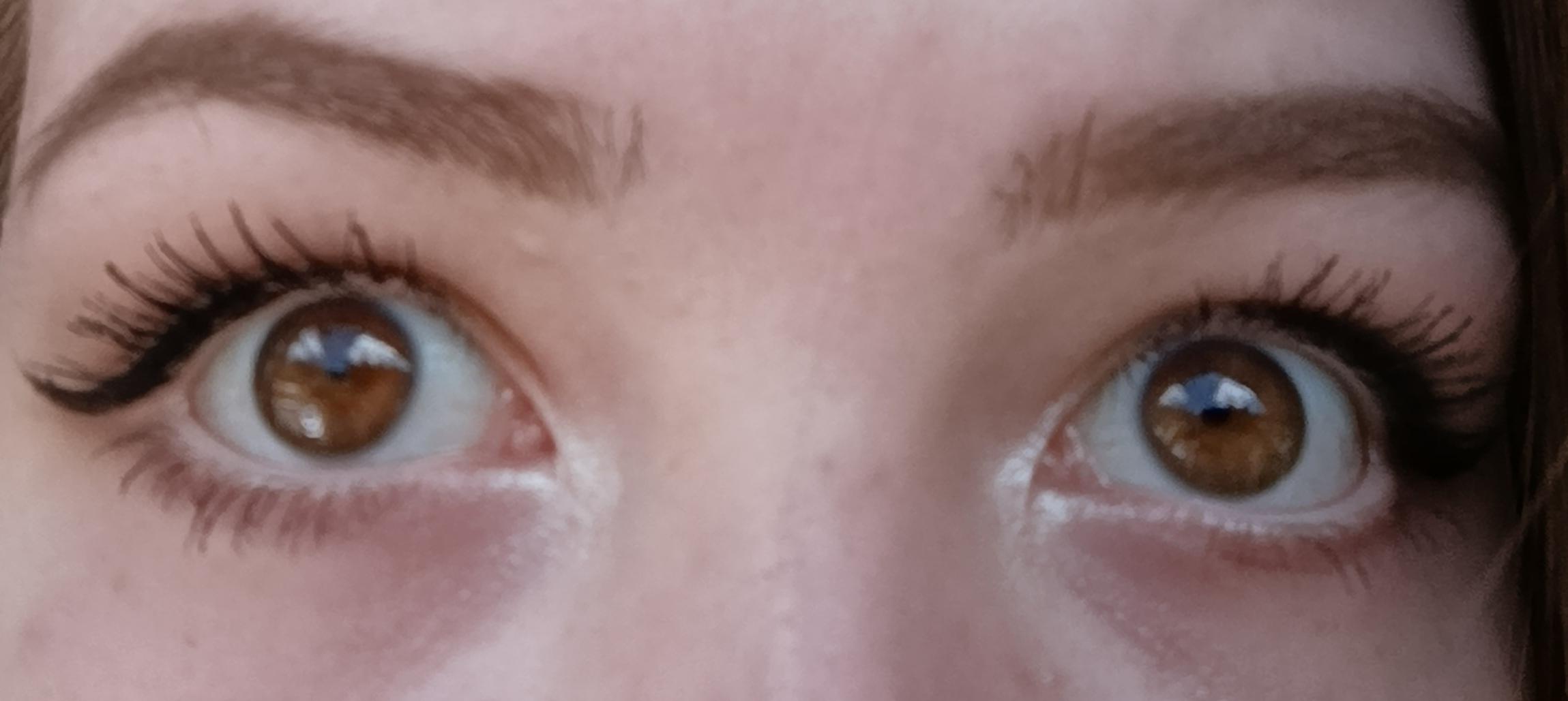 The classic question... Brown or hazel? | Scrolller