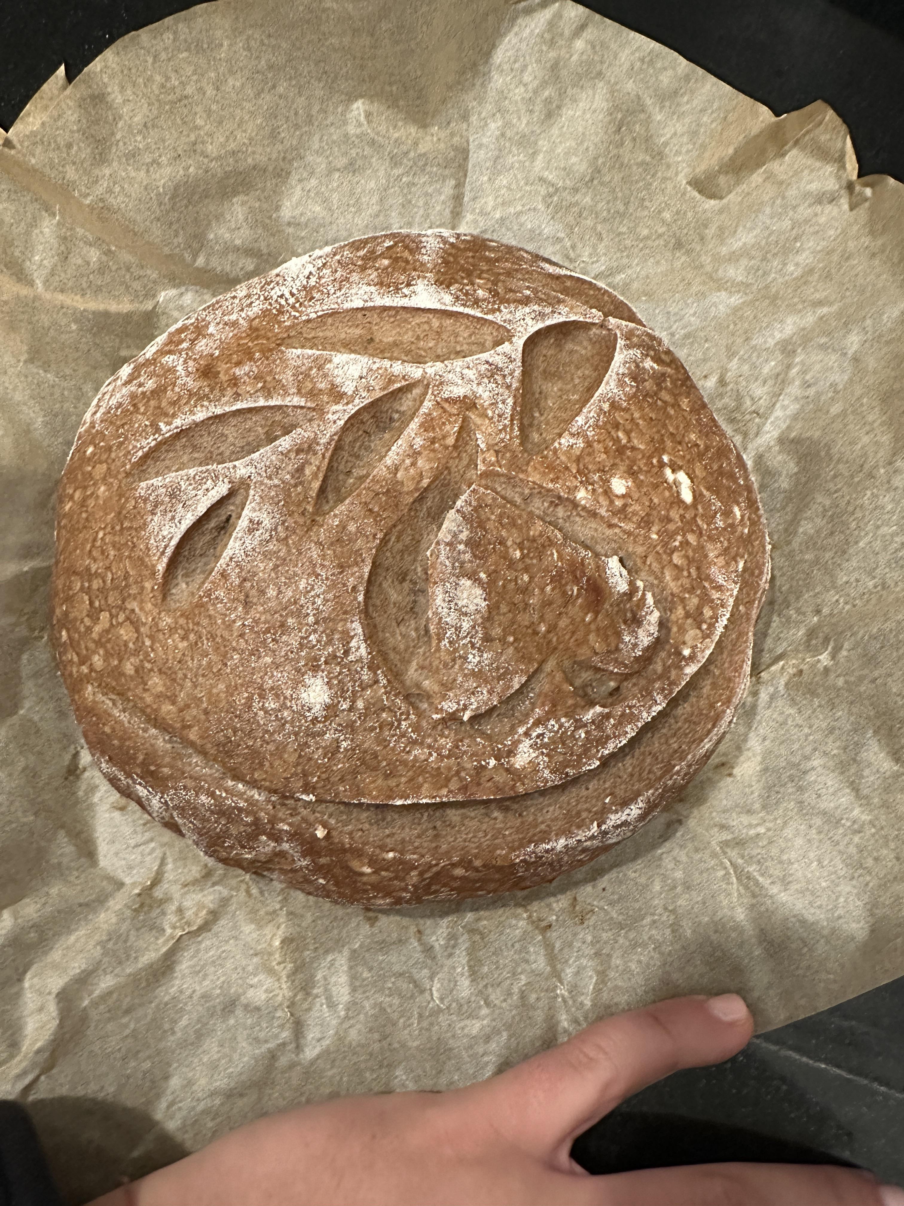 Ever seen sourdough made with day 2 starter? Now you have 🤣🤣 epic fail | Scrolller