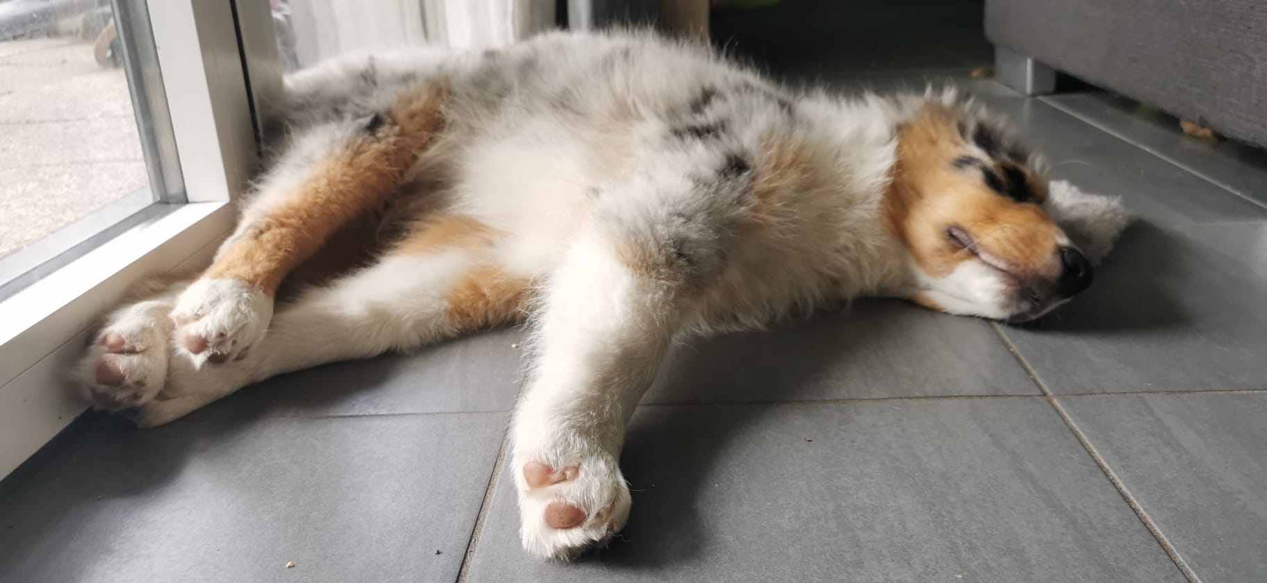My cute wiggle butt ️ | Scrolller