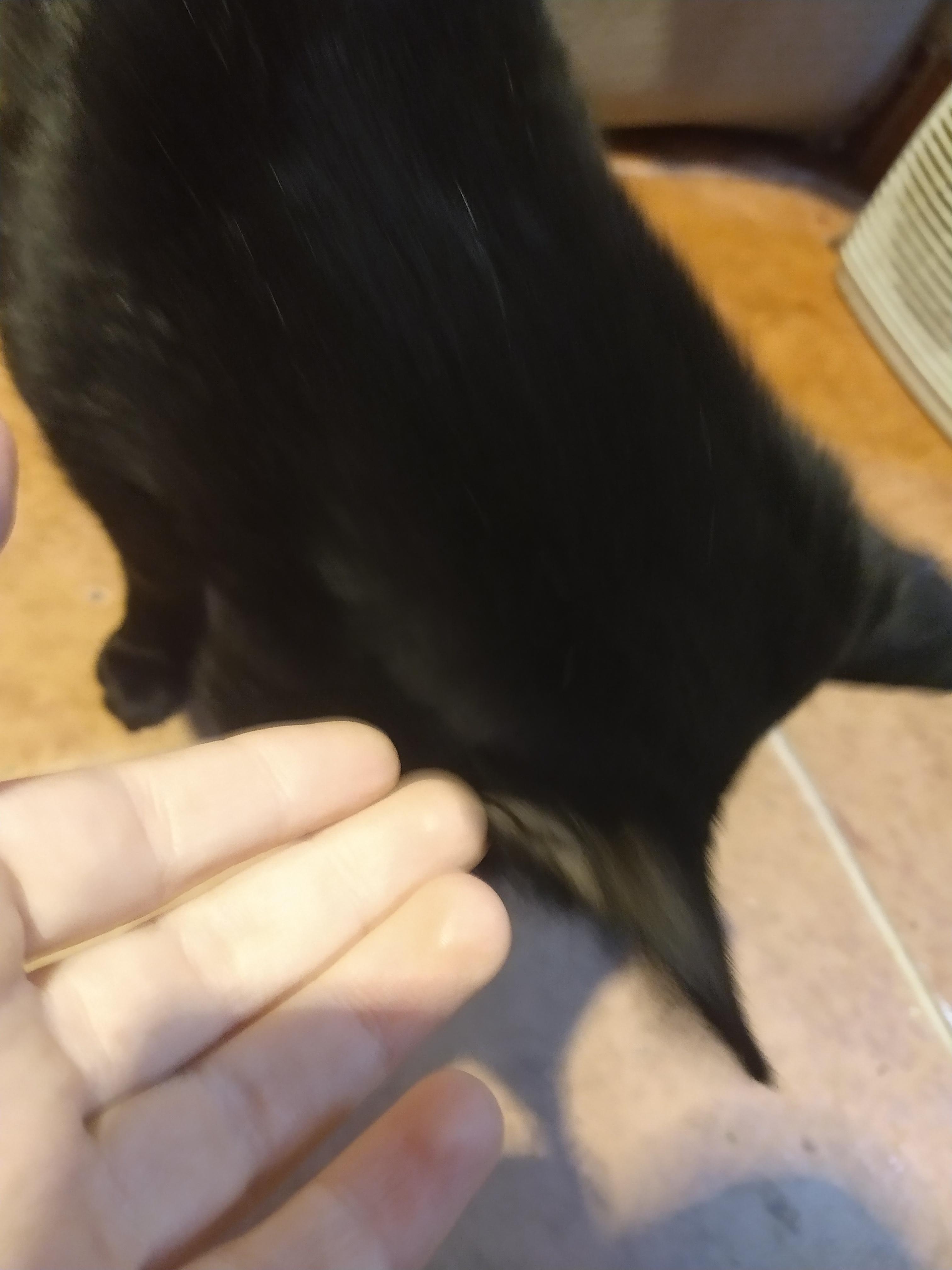 Photo sequences | Scrolller