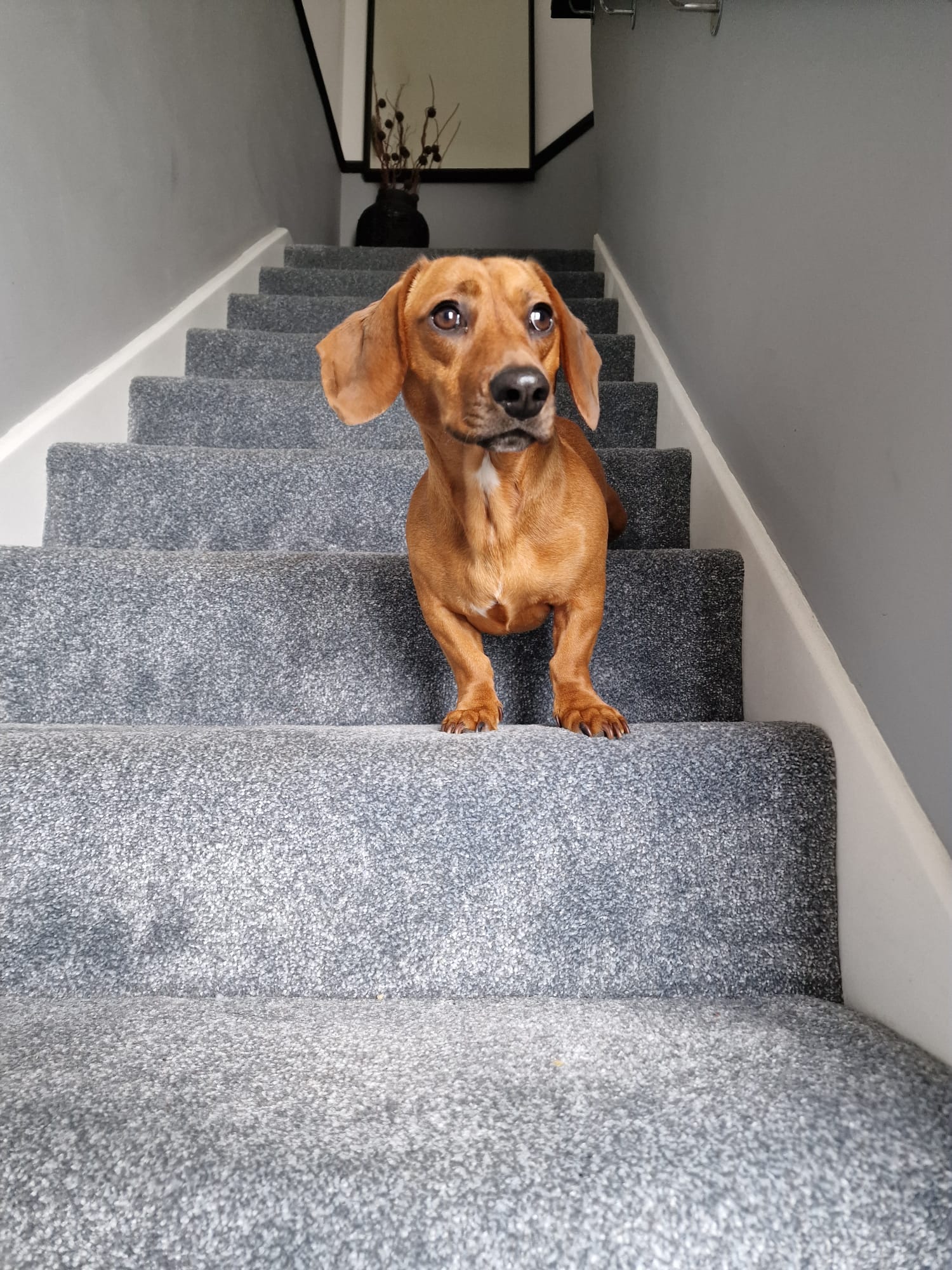 Please make him look like an idiot | Scrolller