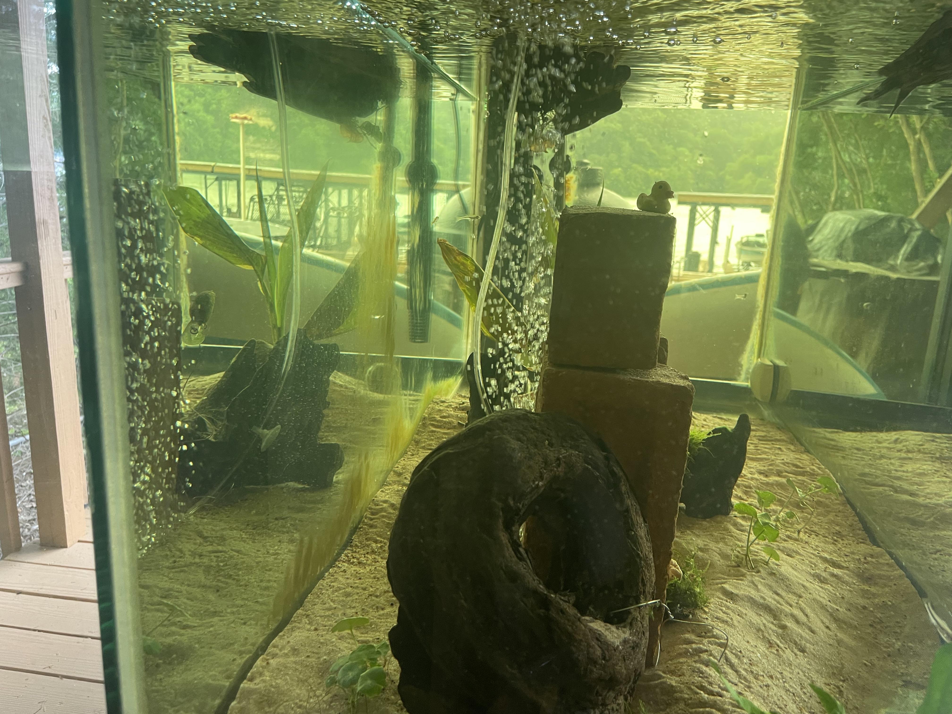 What am I missing? | Scrolller