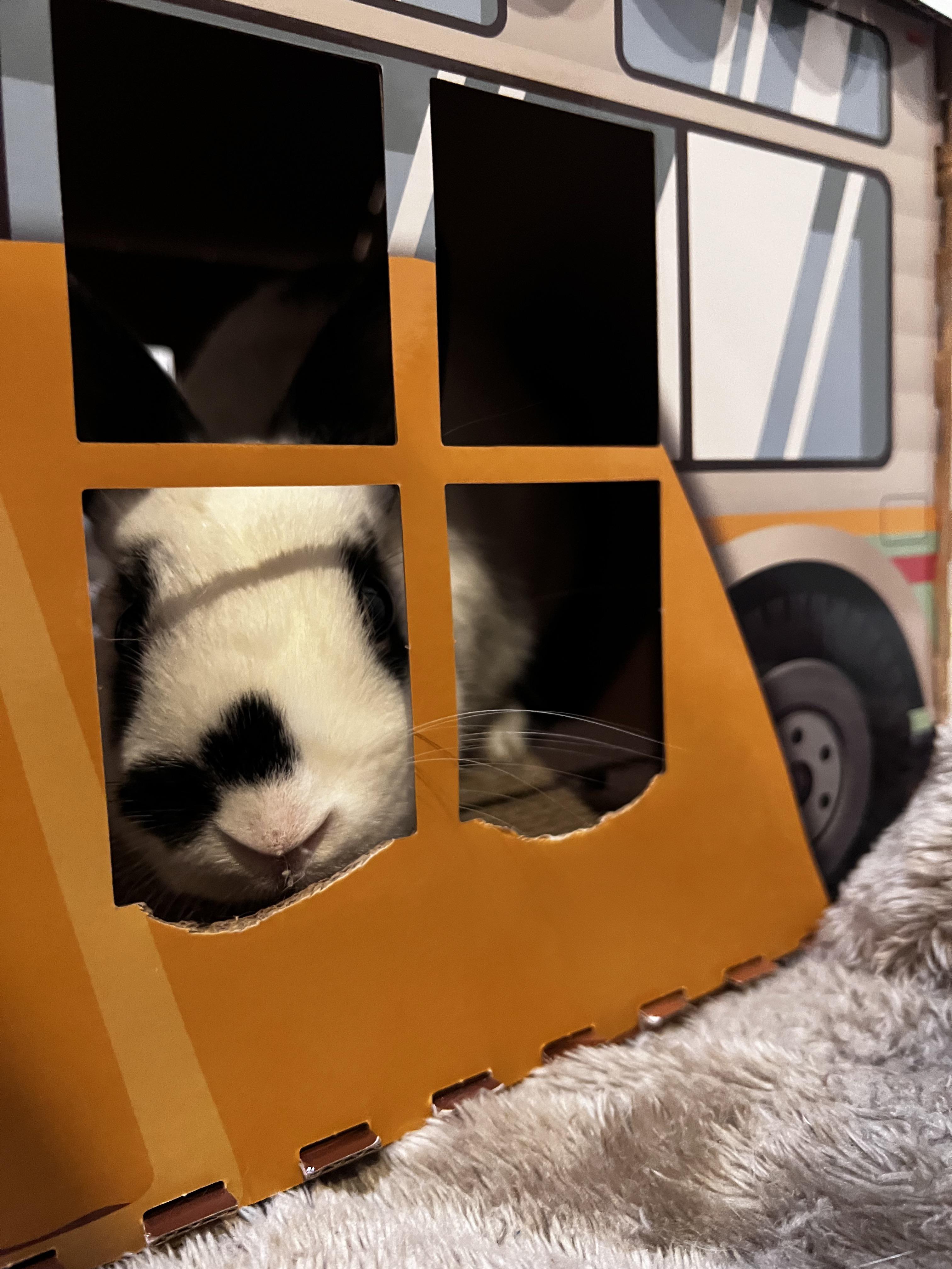 Dennis likes the new RV | Scrolller