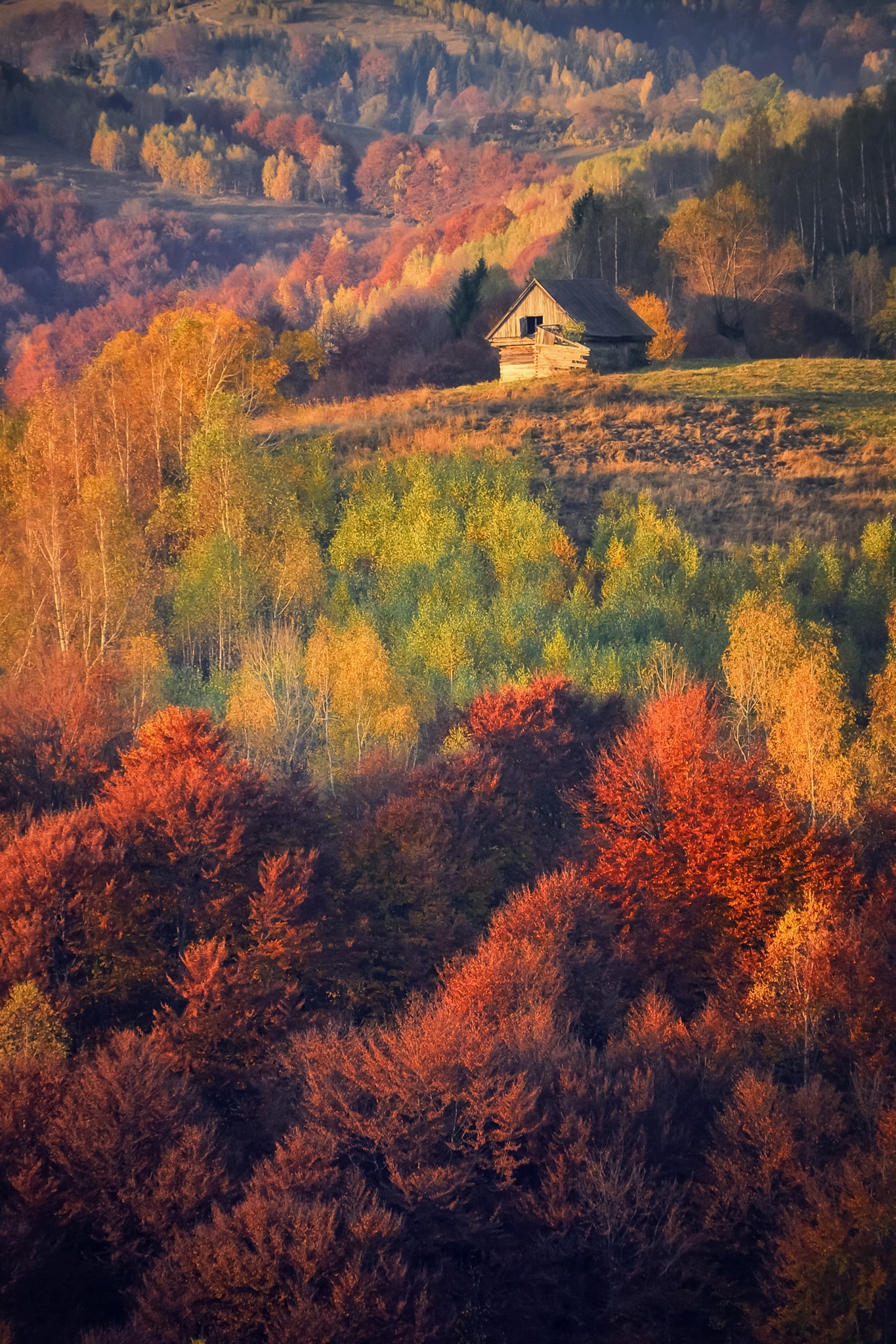 Autumn in Romania | Scrolller