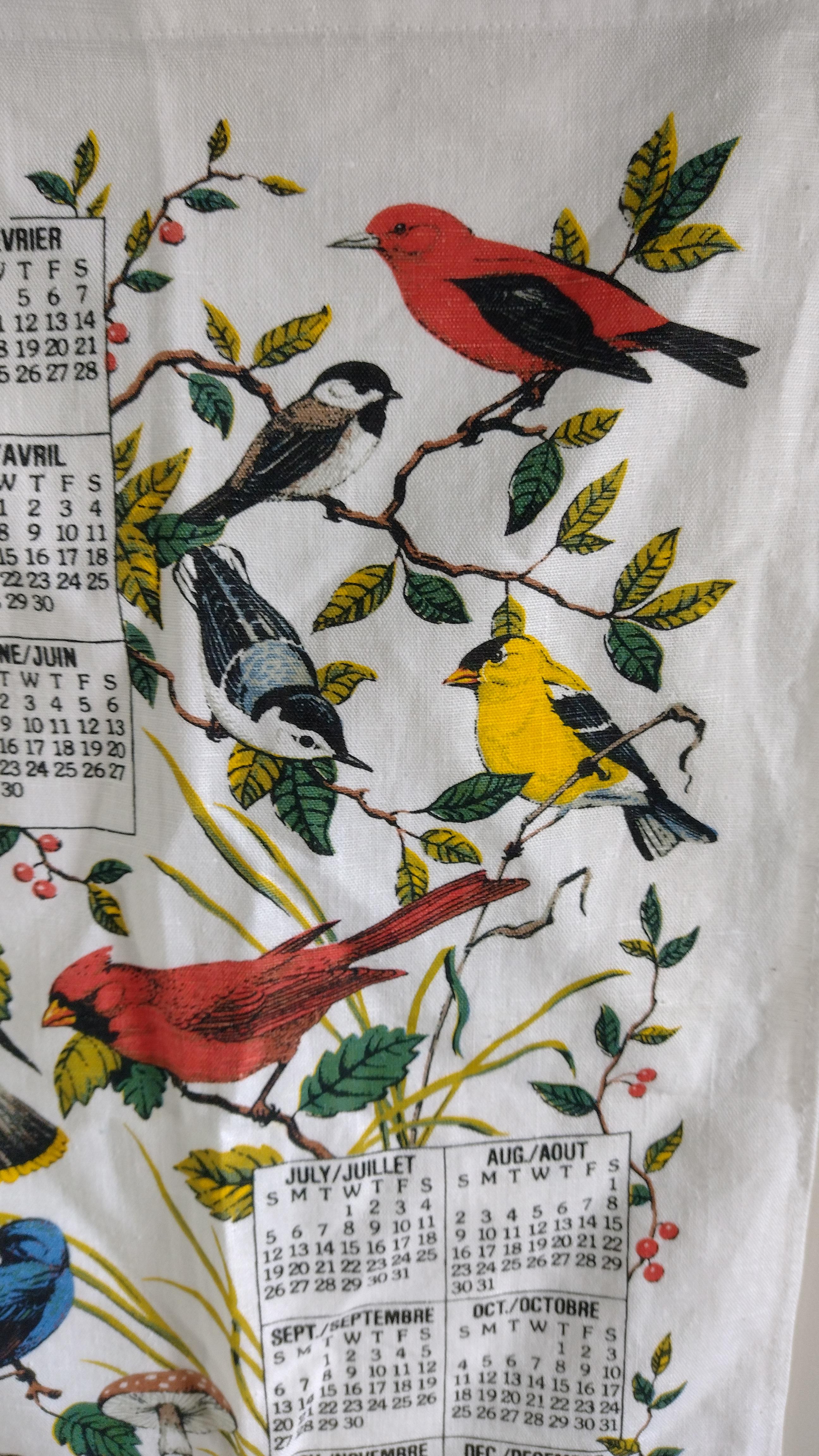 Help me identify these birds! | Scrolller