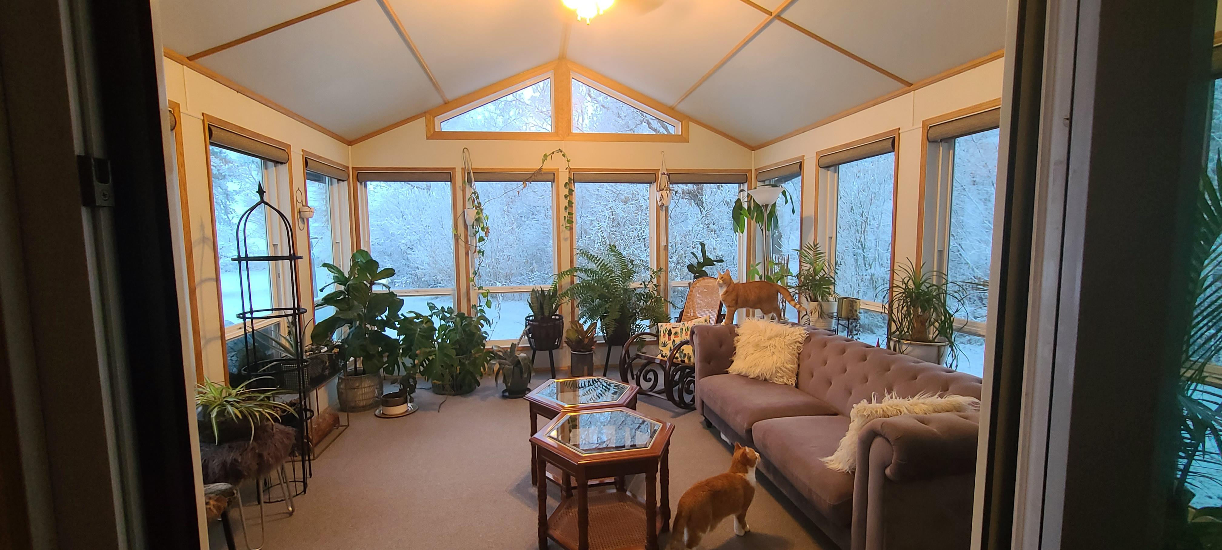 Sunroom in the day time with some bonus views out the windows | Scrolller